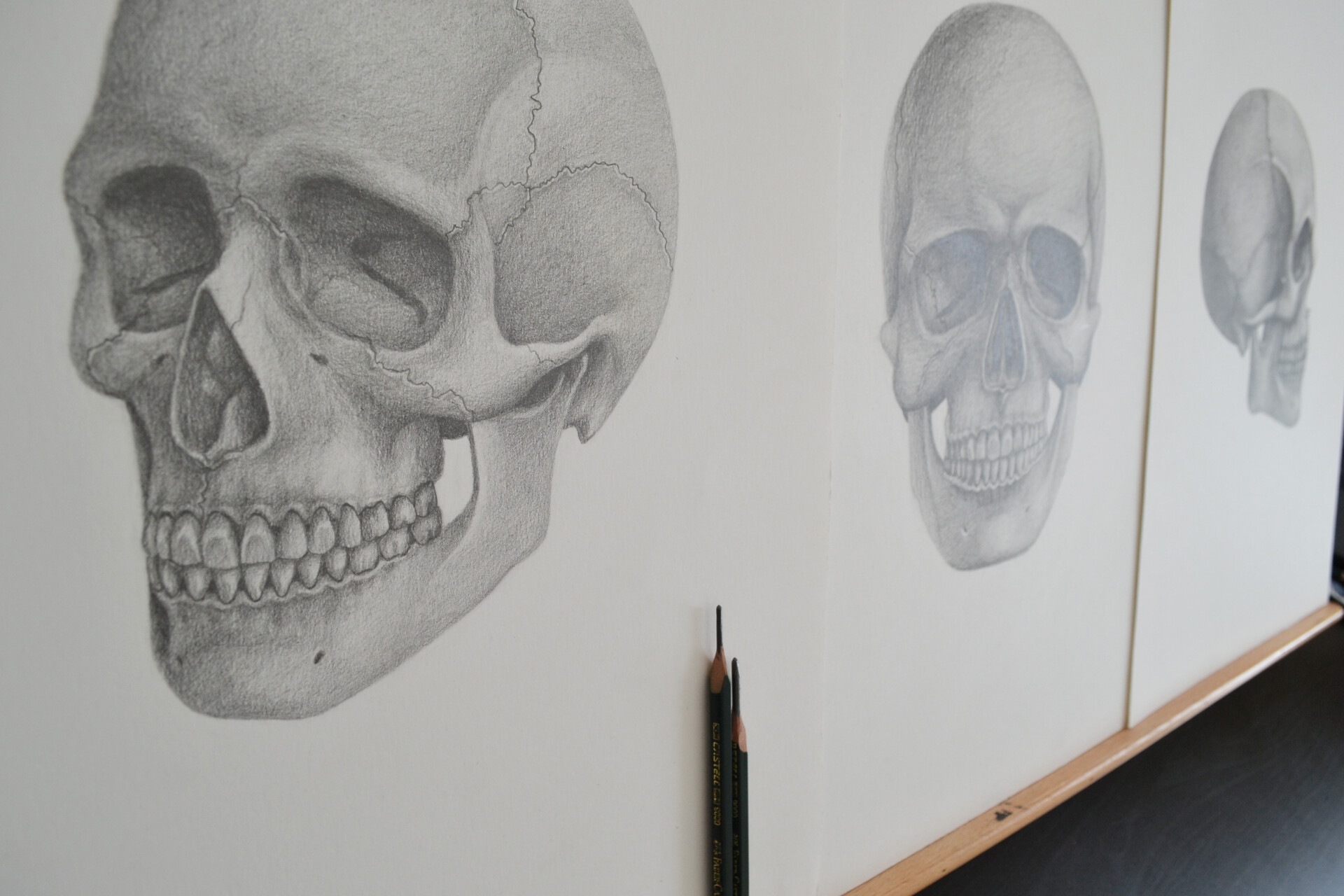 Egle RM - Classical Drawing -Human skull study, graphite pencil