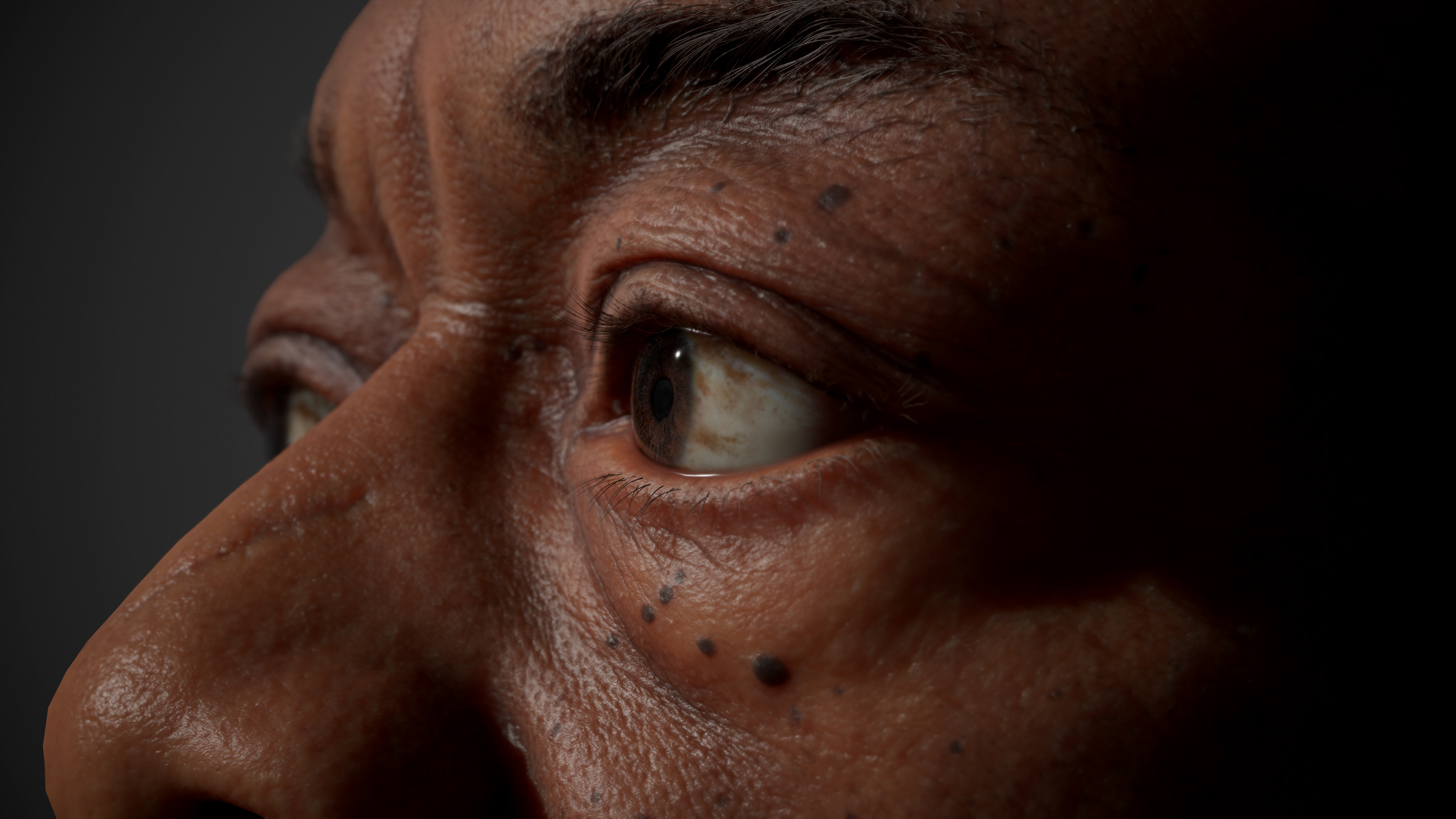 3D Scan Store - Anatomy Reference Scans