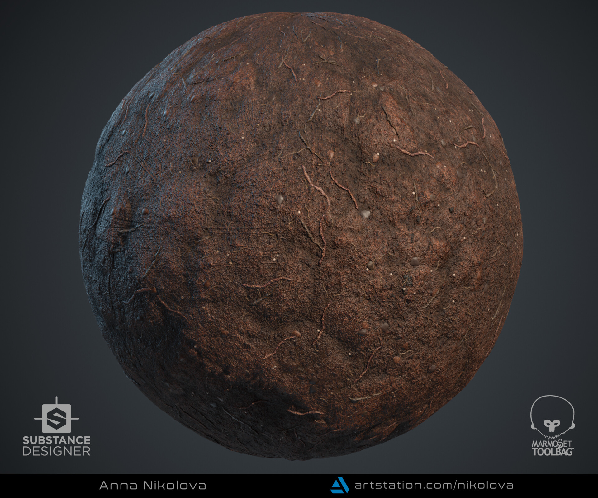 Anna Nikolova - Forest Soil