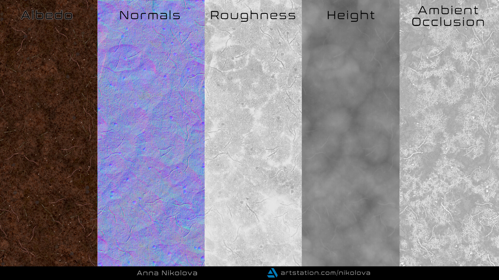 Anna Nikolova - Forest Soil