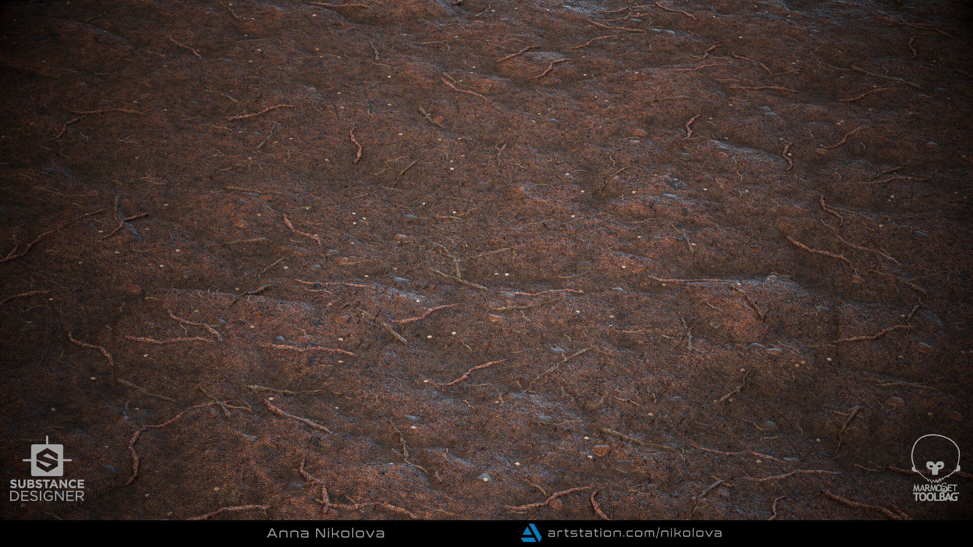 Anna Nikolova - Forest Soil