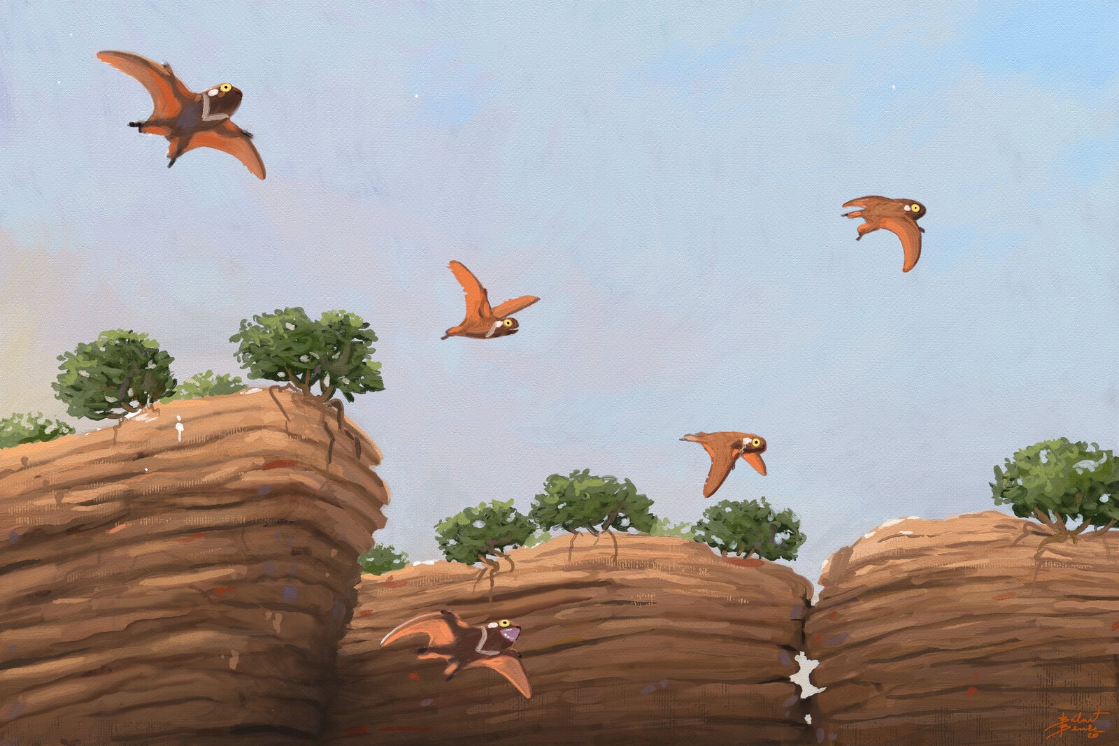 Bálint Benke - Anurognathids