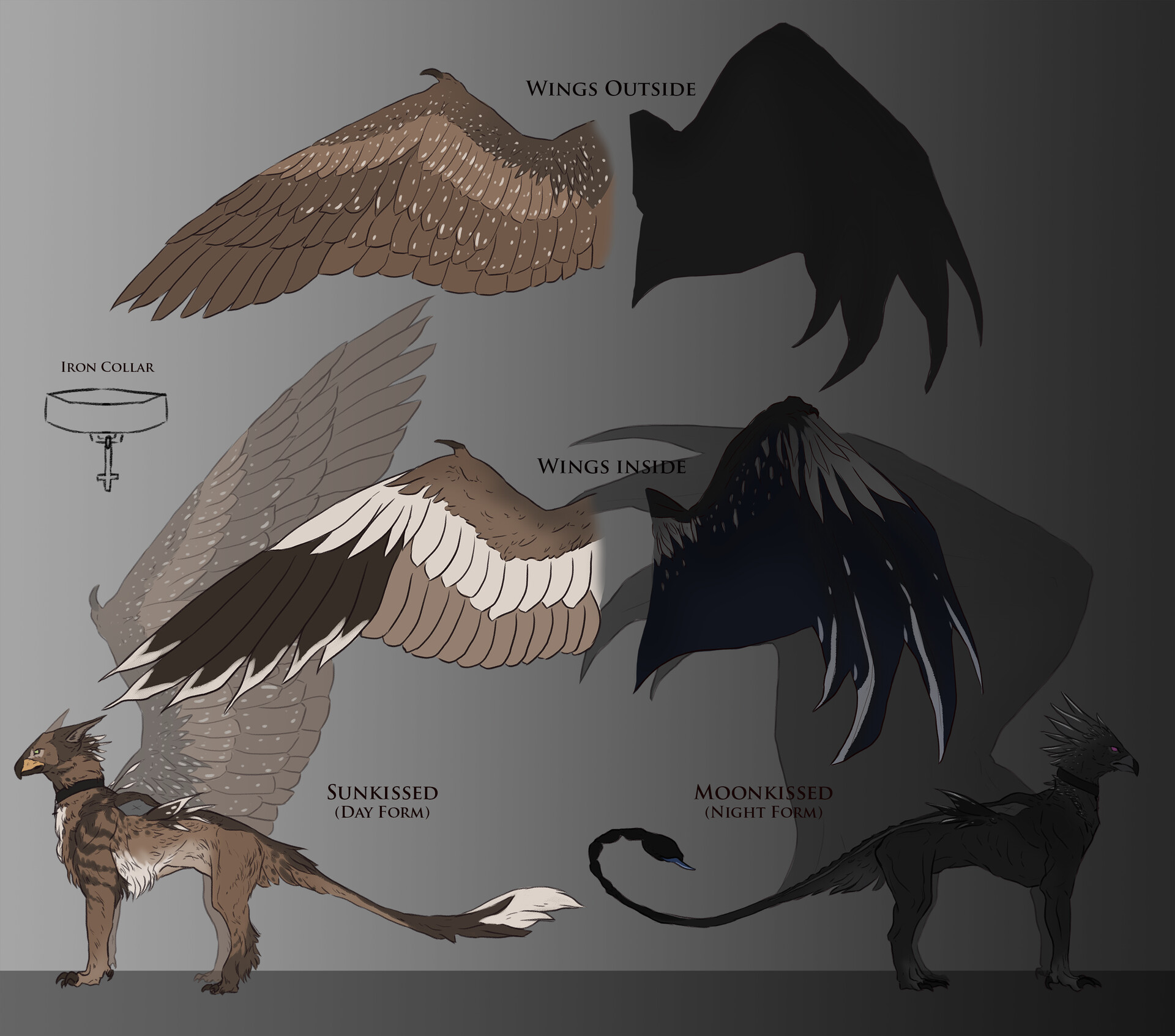 ArtStation - Character Design: Ame