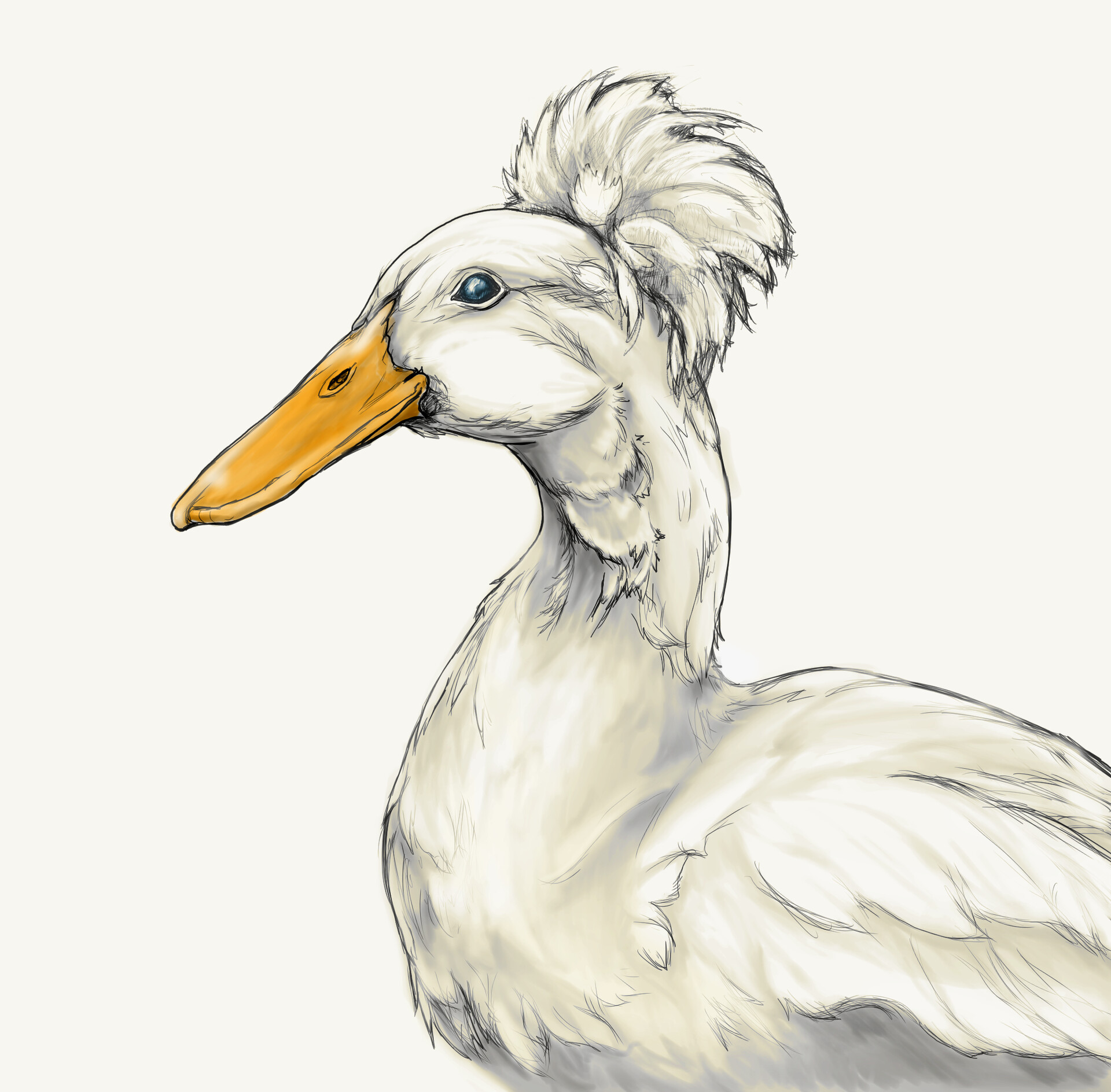 ArtStation - Duck - Pixie