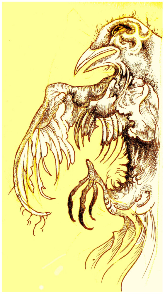 ArtStation - Dead Bird