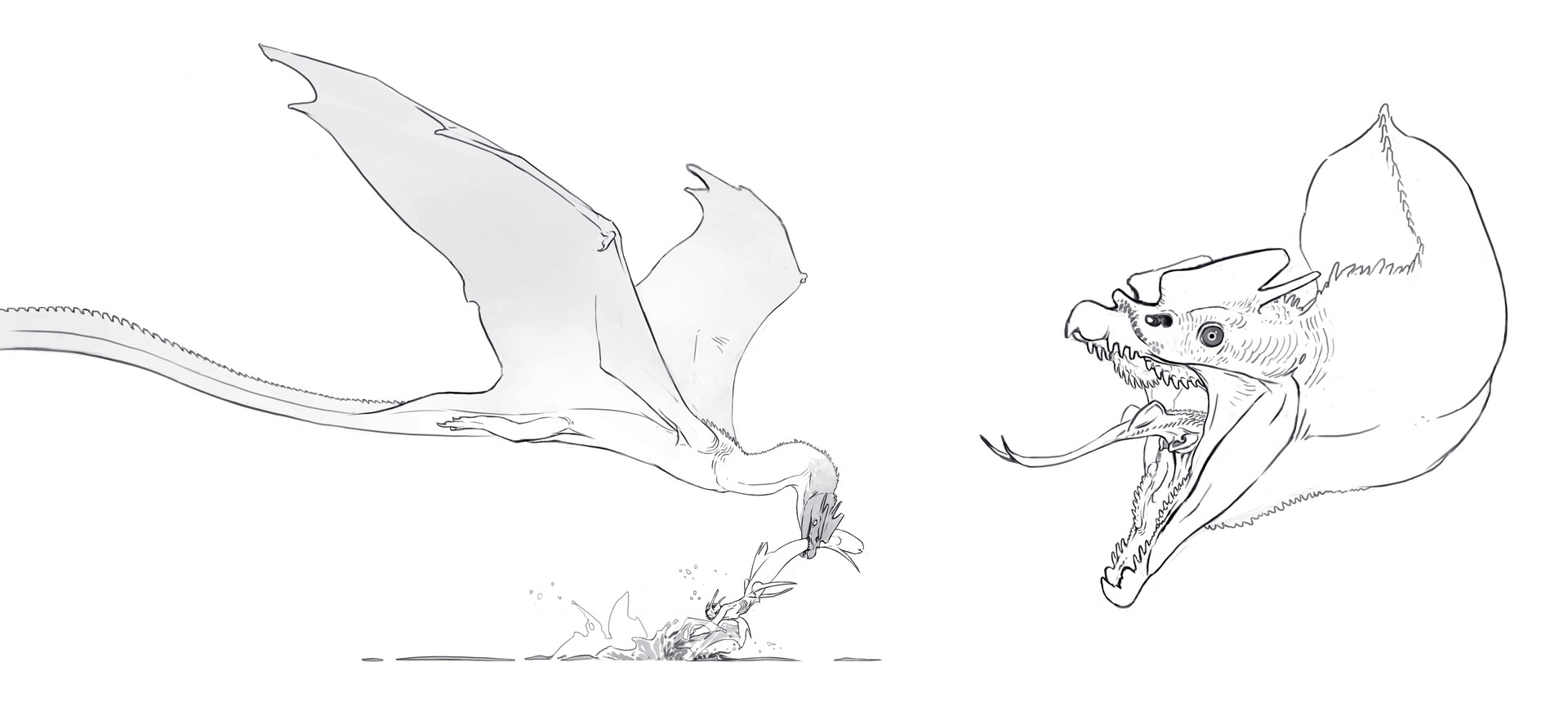 alexander-ostrowski-20-14.jpg (1920×866)-花瓣网