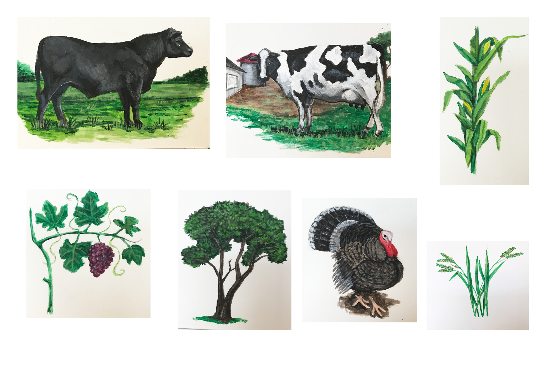 ArtStation - Farm Illustrations