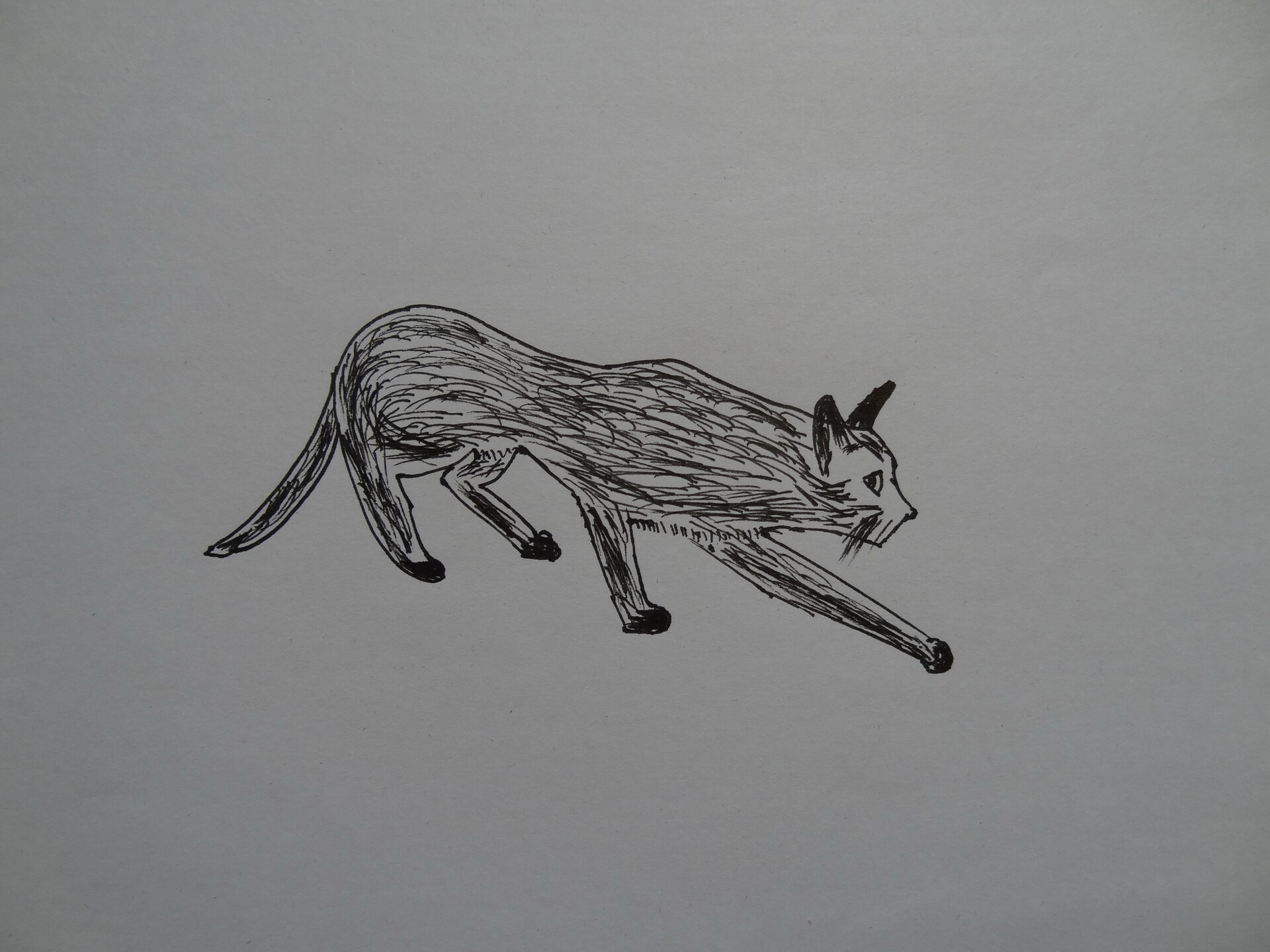 ArtStation - Crawling Cat