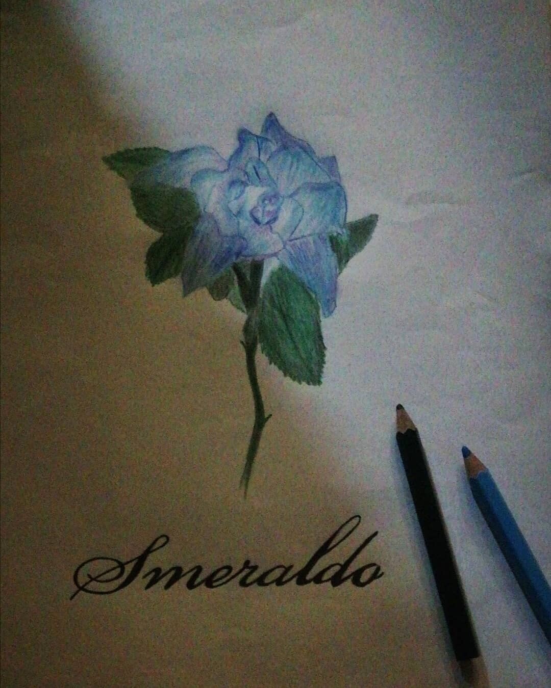 Smeraldo Flower Real | Best Flower Site