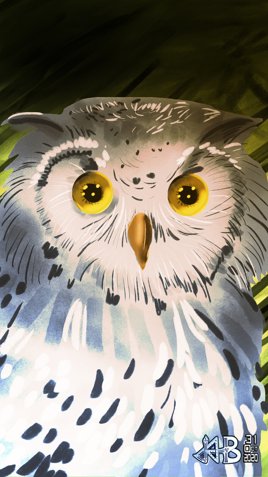 Alexa Herreño - Búho