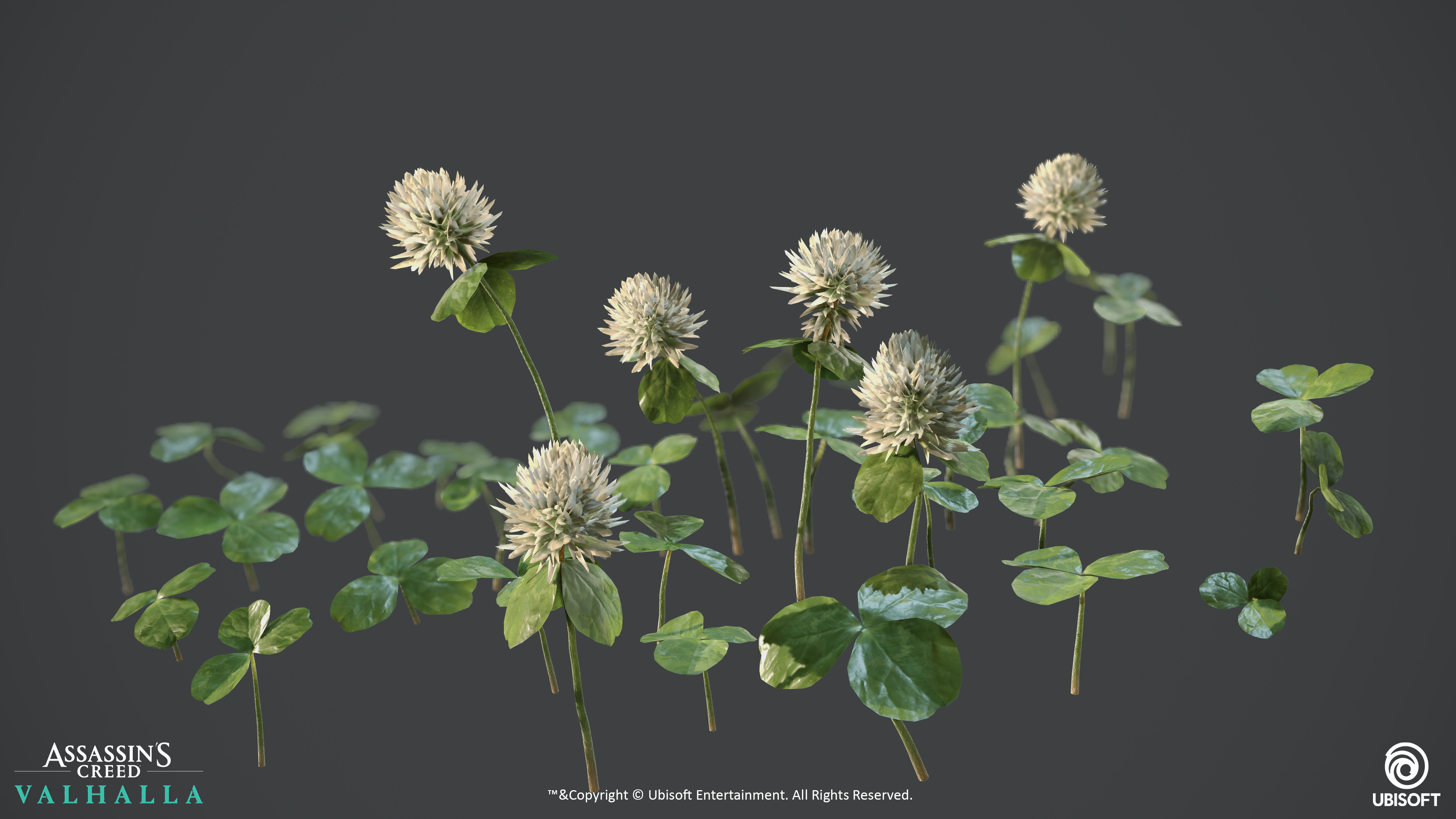 adrien-paguet-brunella-clover.jpg (3840×2160)-花瓣网