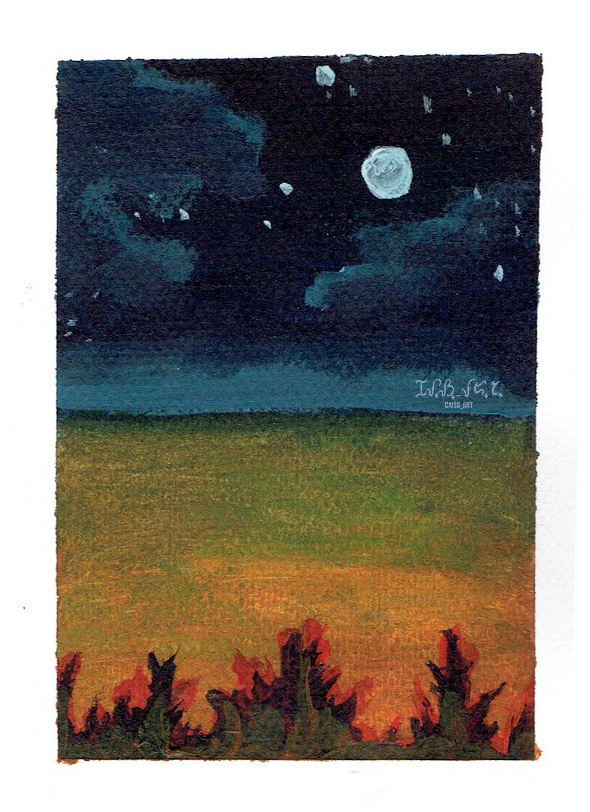 ArtStation - Fields at Night