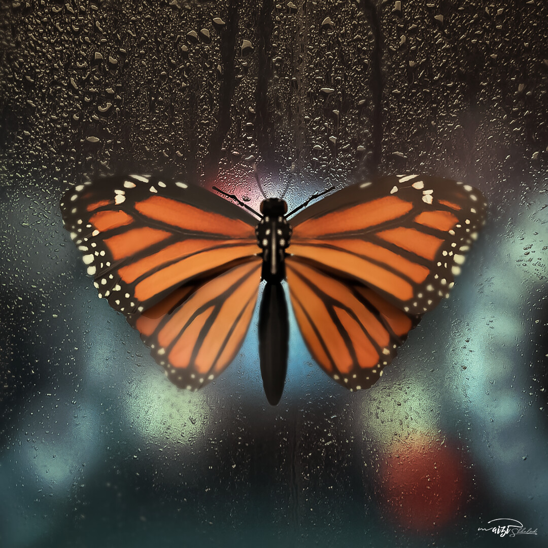 ArtStation - butterfly monarch