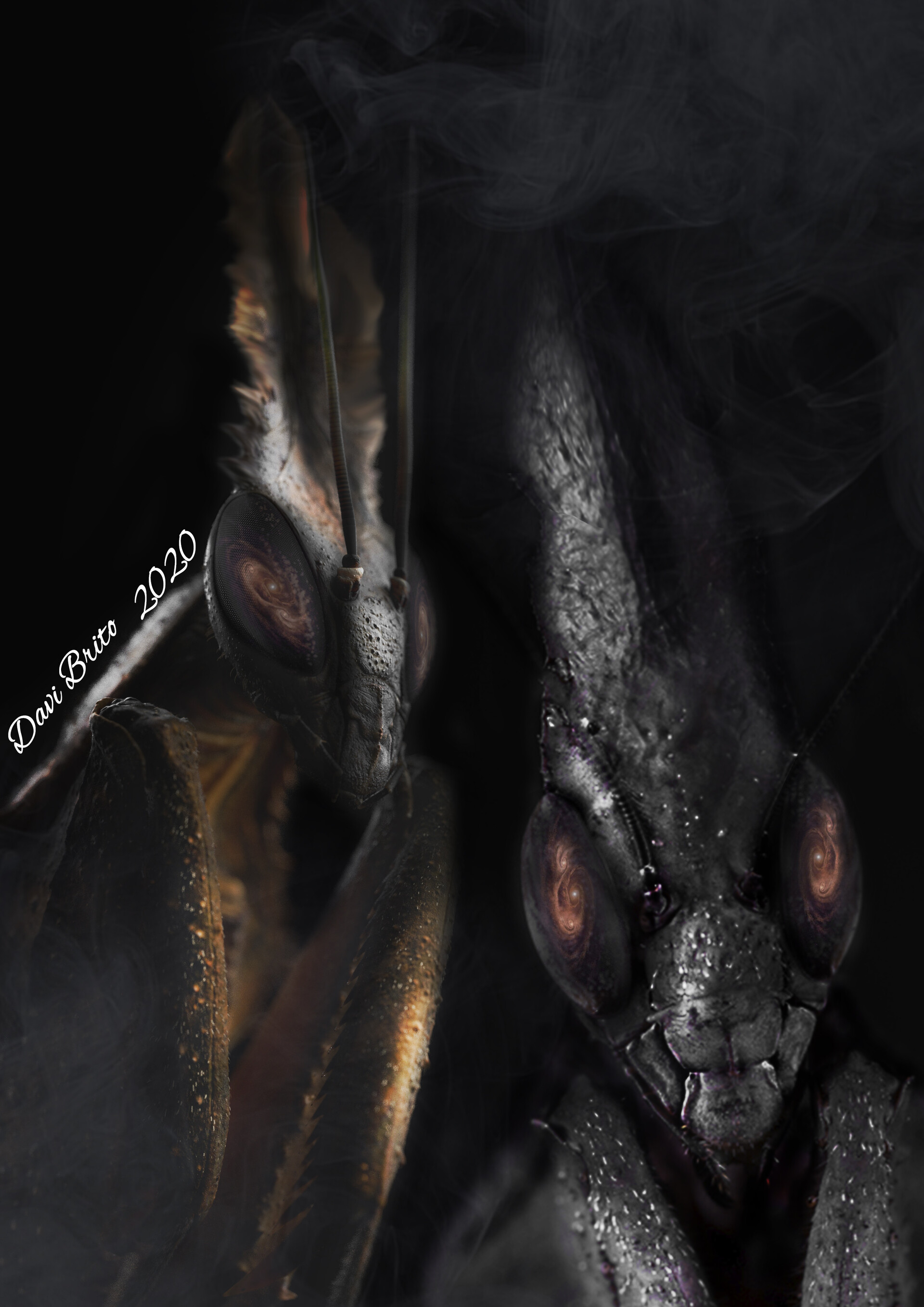 ArtStation - Insectoids