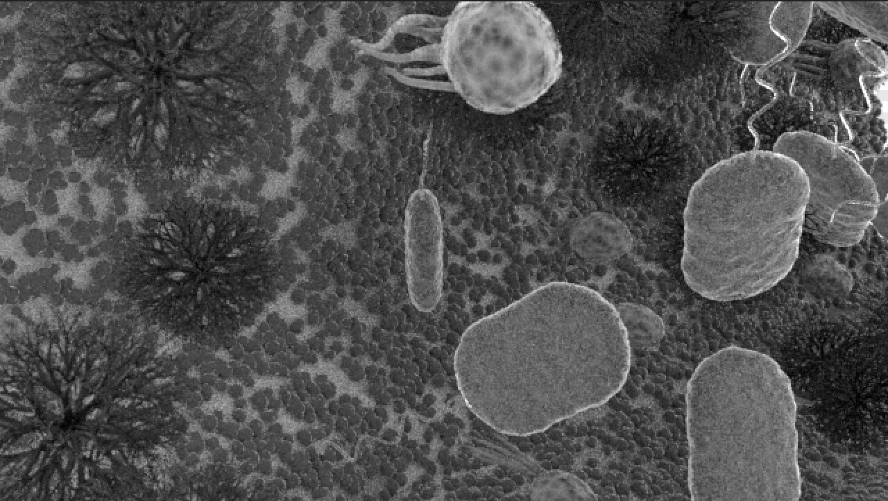 ArtStation - Electronic microscope Bacteria animation