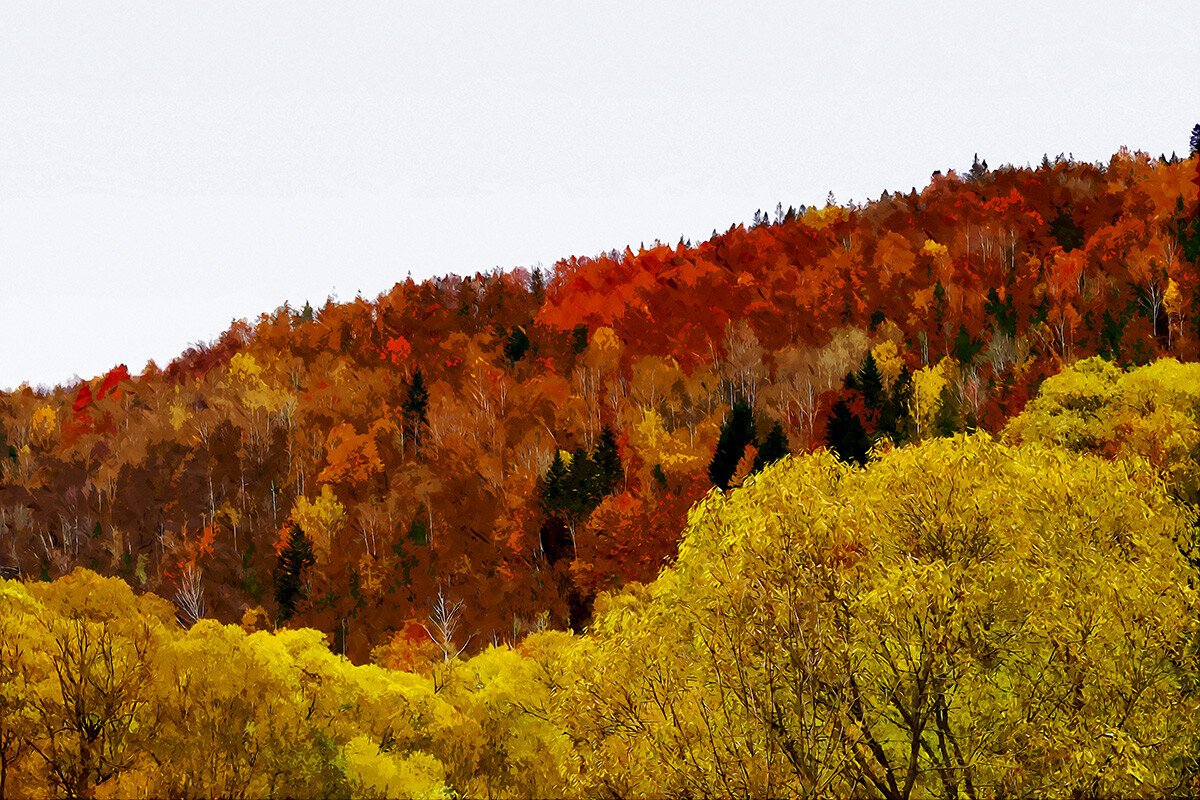 ArtStation - Autumn Scene