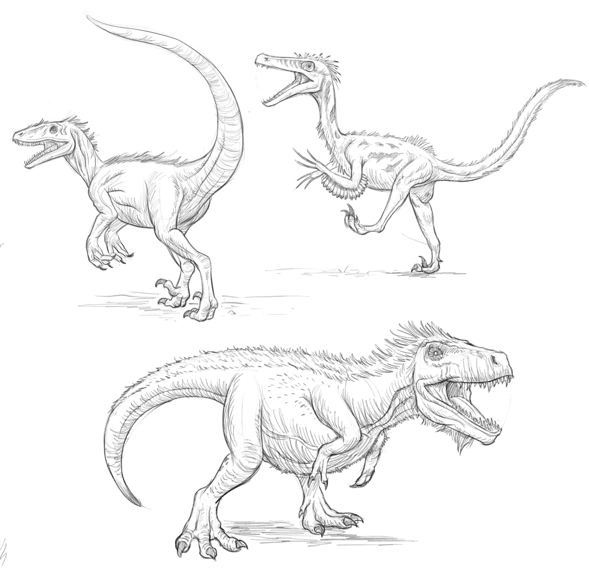 utah raptor coloring pages