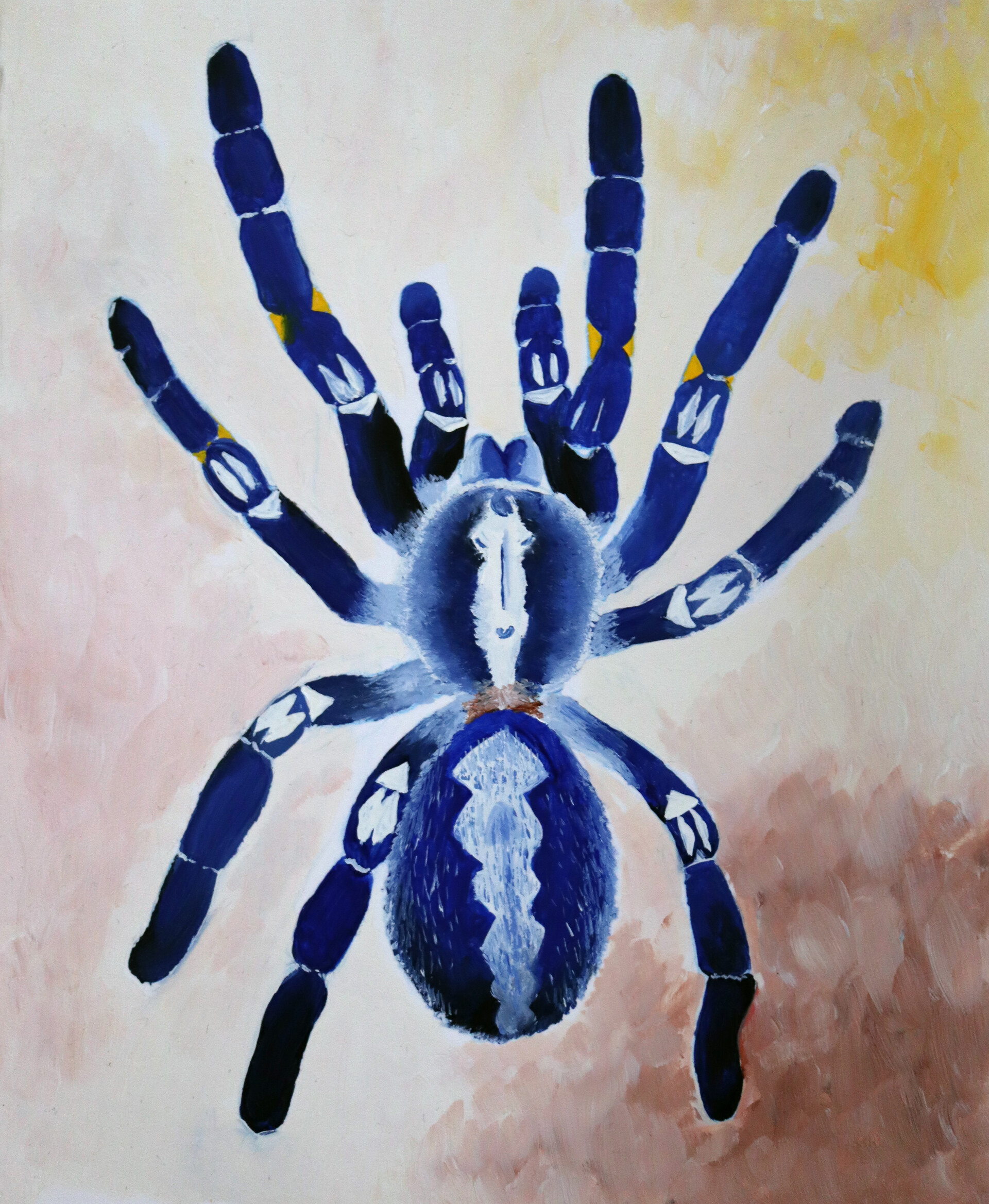 ArtStation - Inktober spider