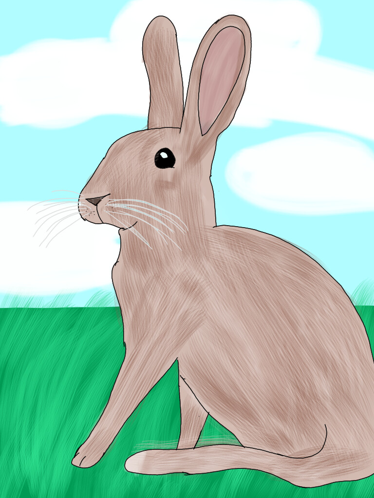 ArtStation - cat + rabbit