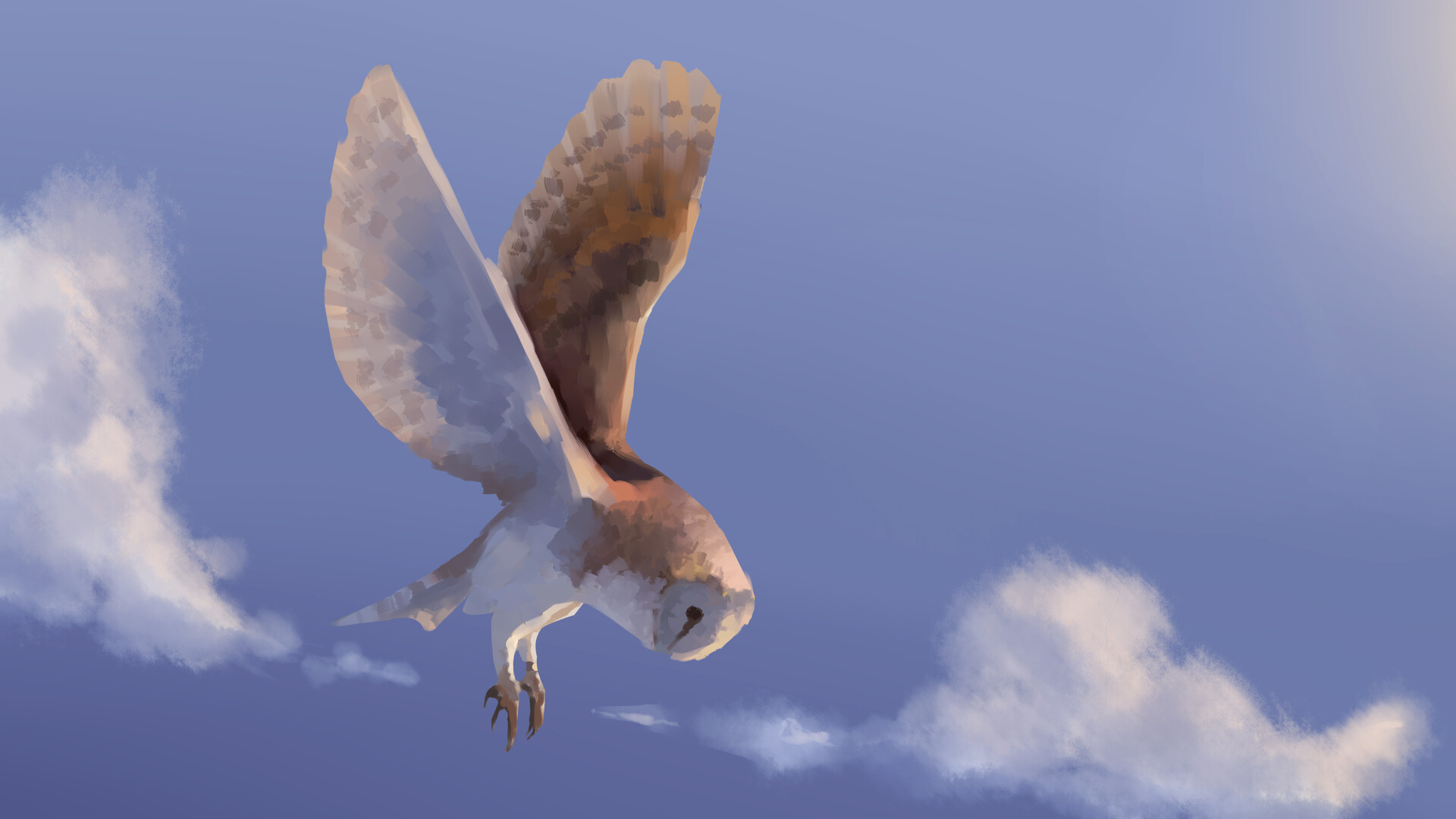 ArtStation - BIRDS, Sol Pedroso