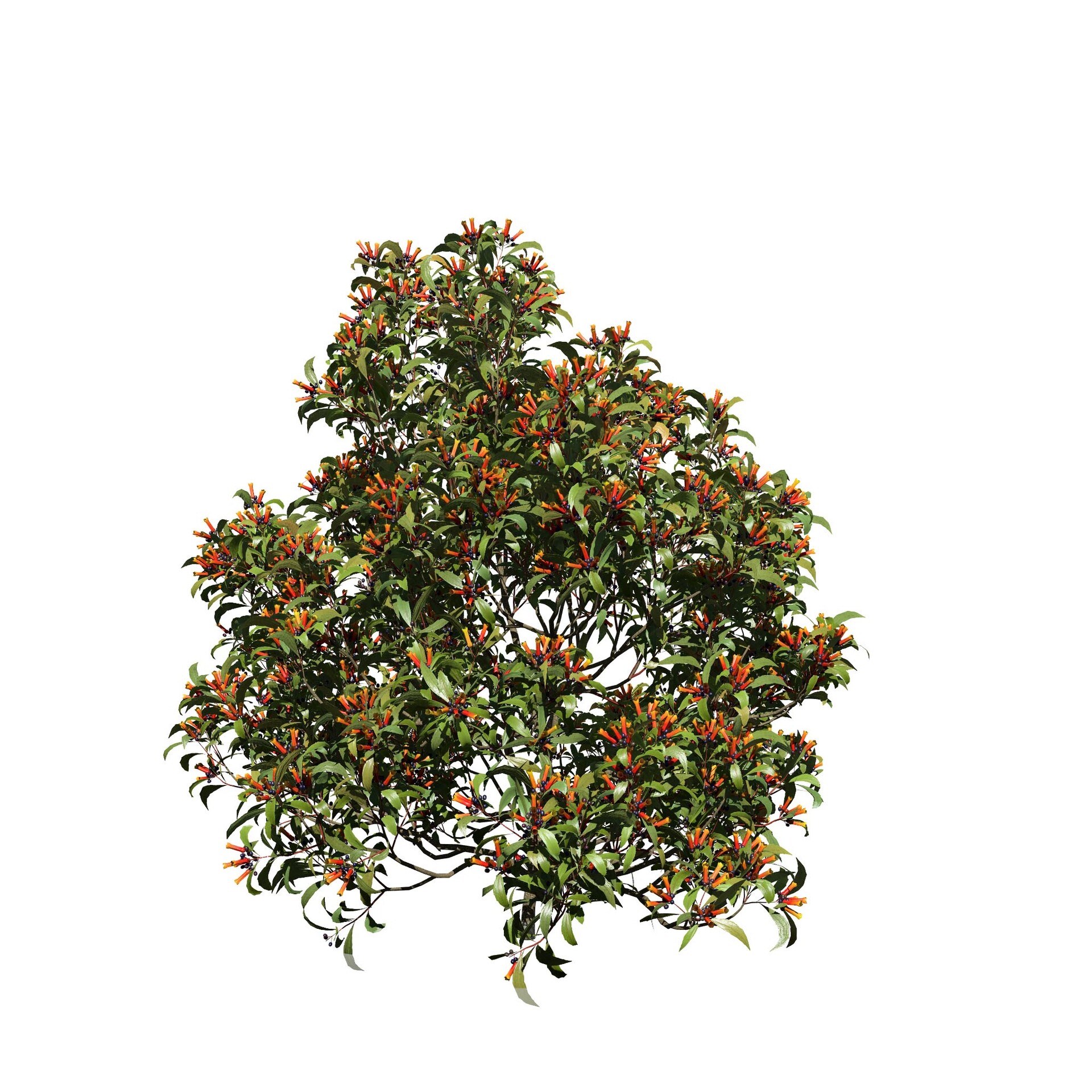 ArtStation - Firebush VFX