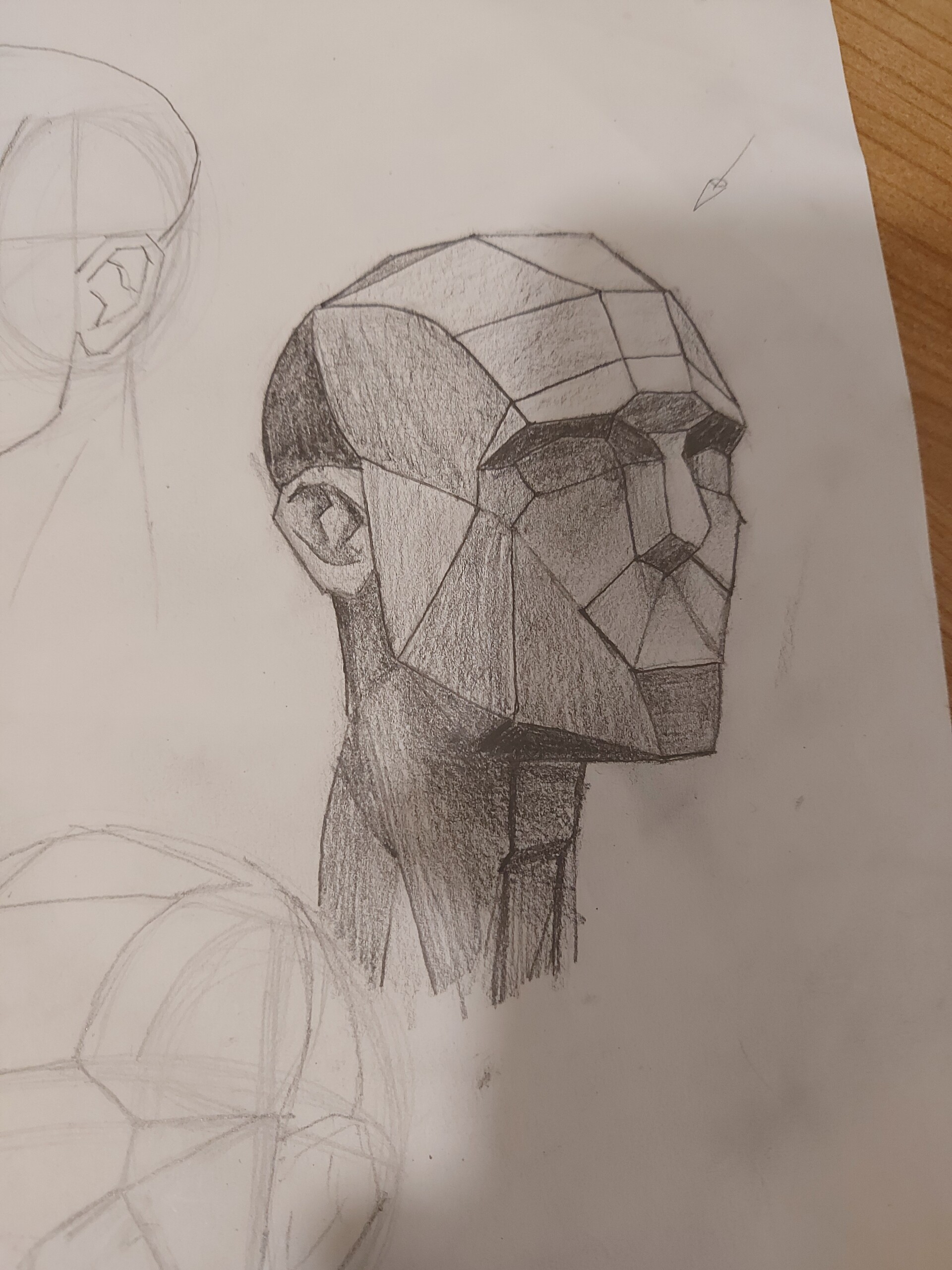 ArtStation - Planes of the head practice