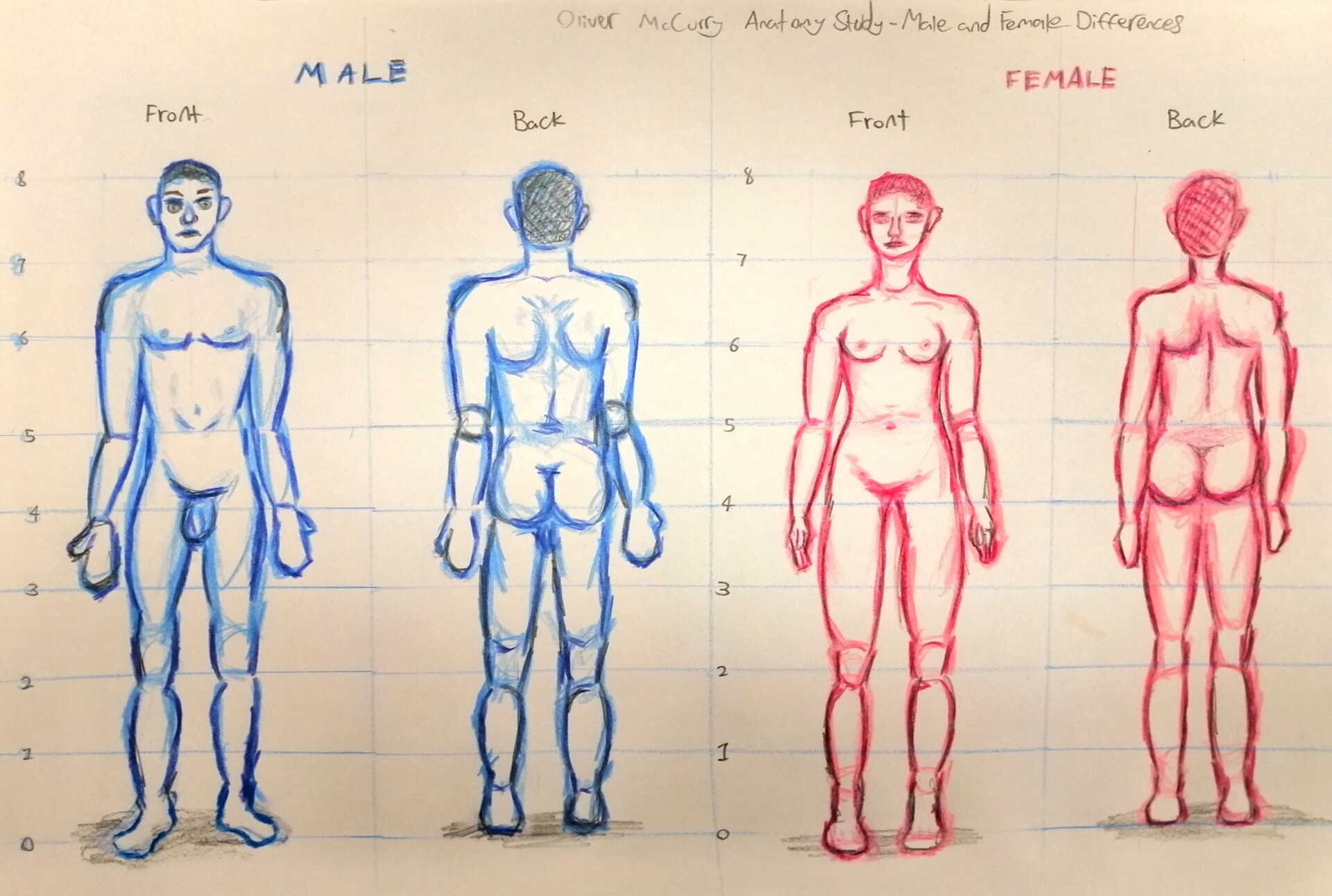 how to draw male body female