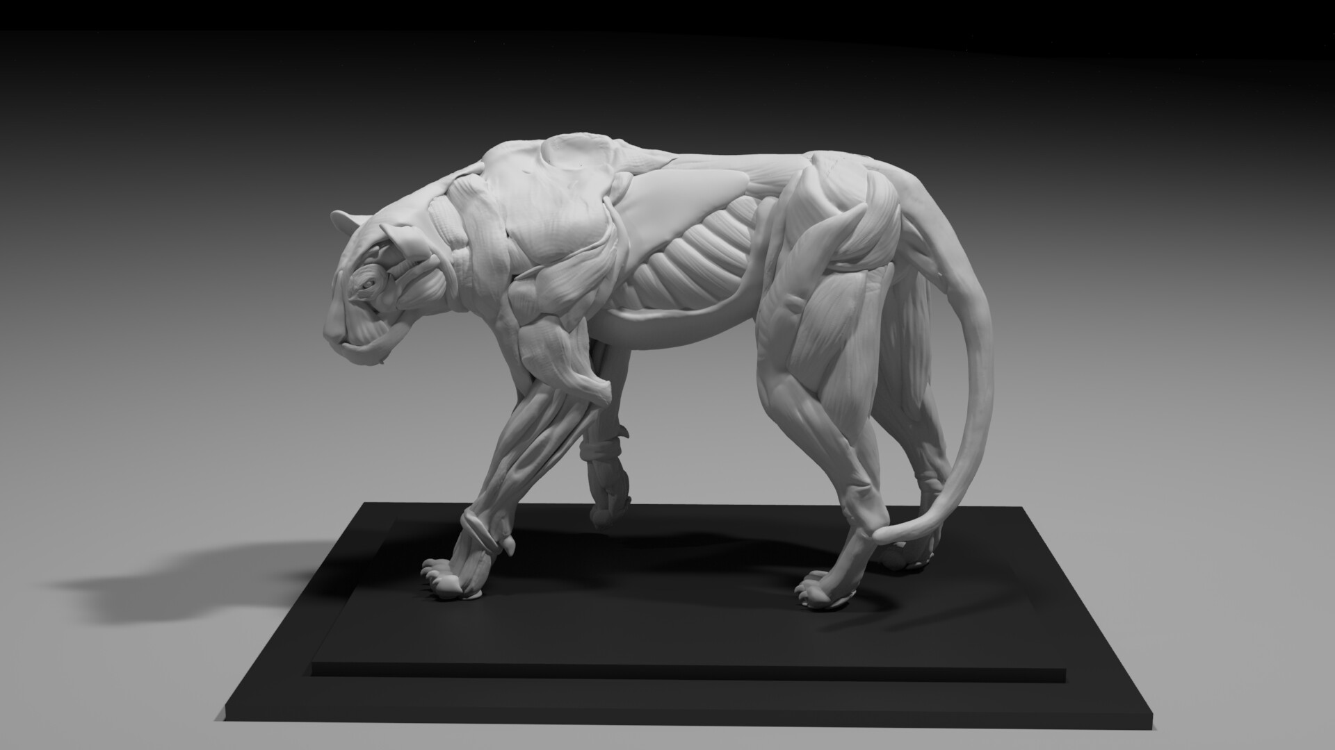 Lucius Arobel - Lion écorché