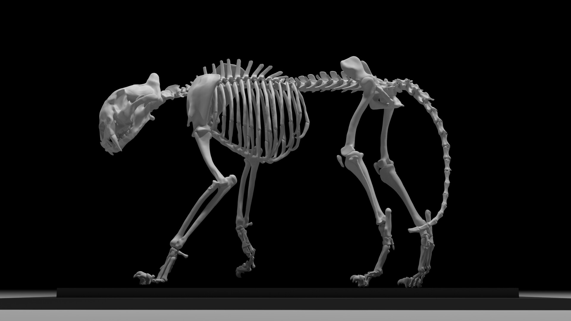 Lucius Arobel - Lion écorché