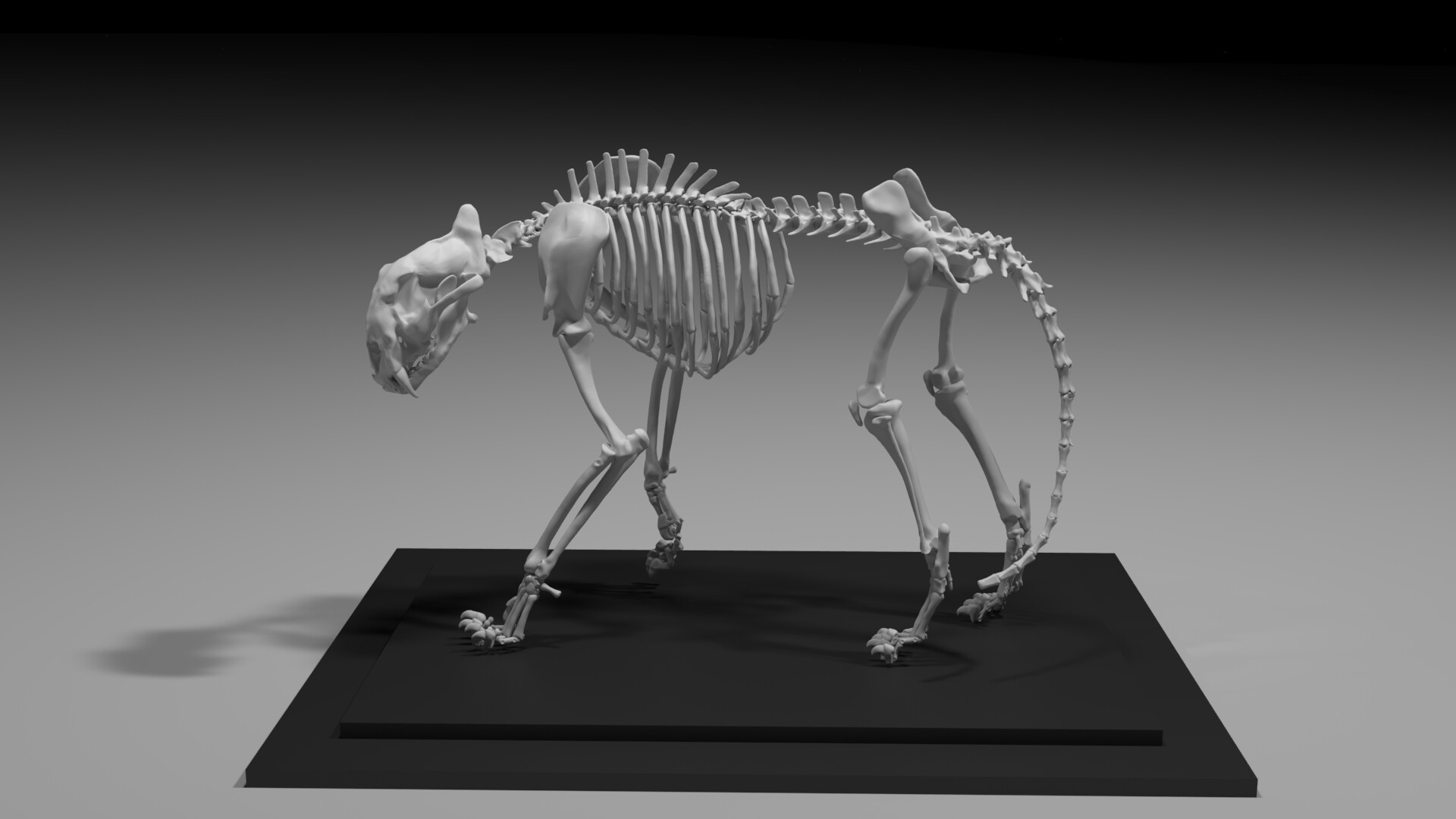 Lucius Arobel - Lion écorché