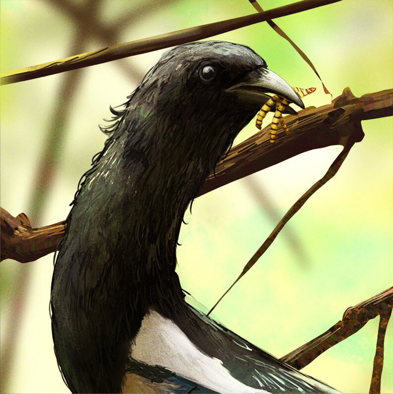 Isaiah S - The Home Past the Clearing