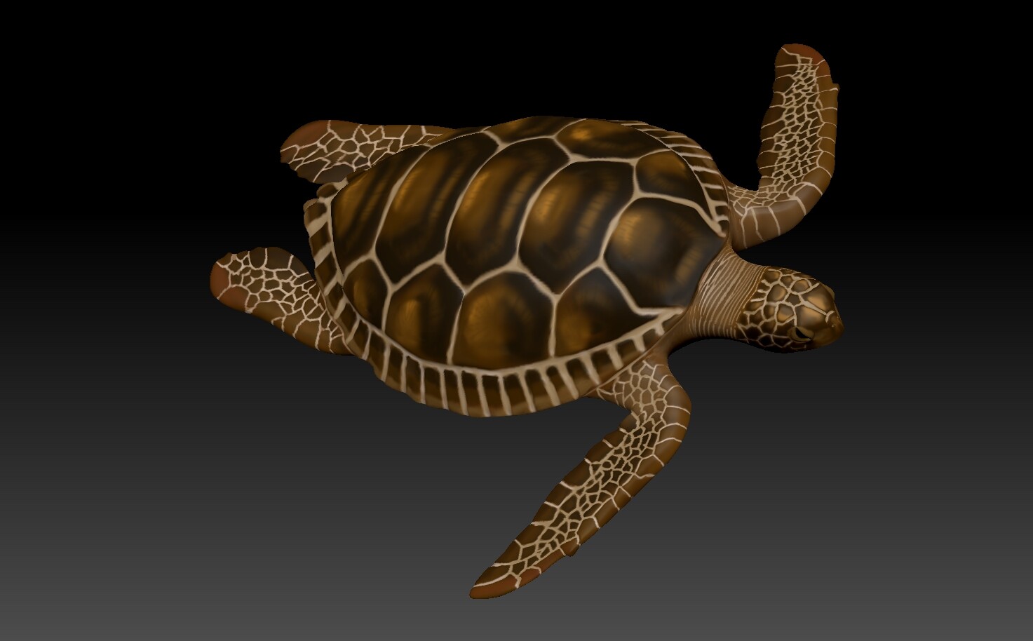 ArtStation - Sea Turtle - ZBrush