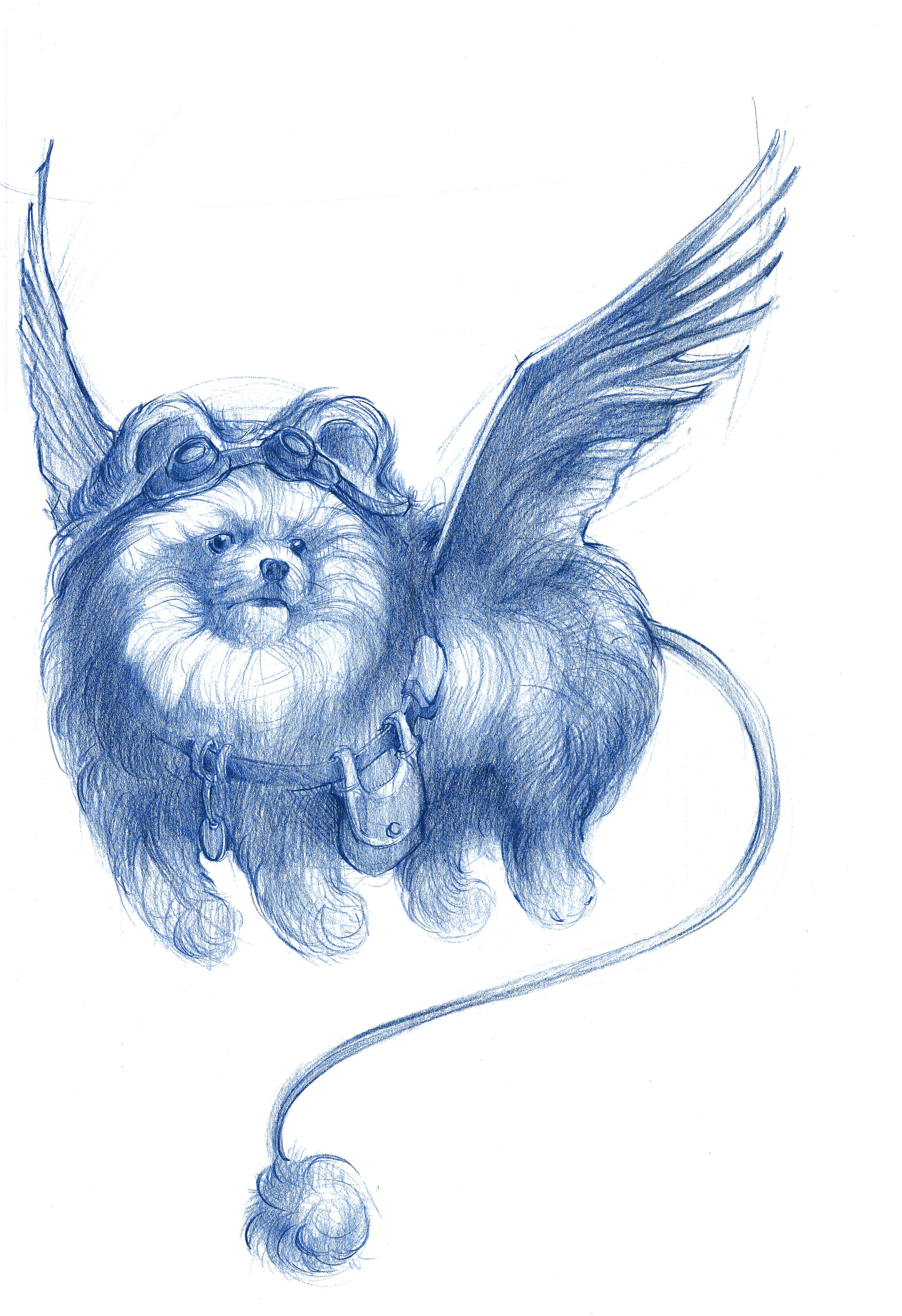 ArtStation - Flying doggo