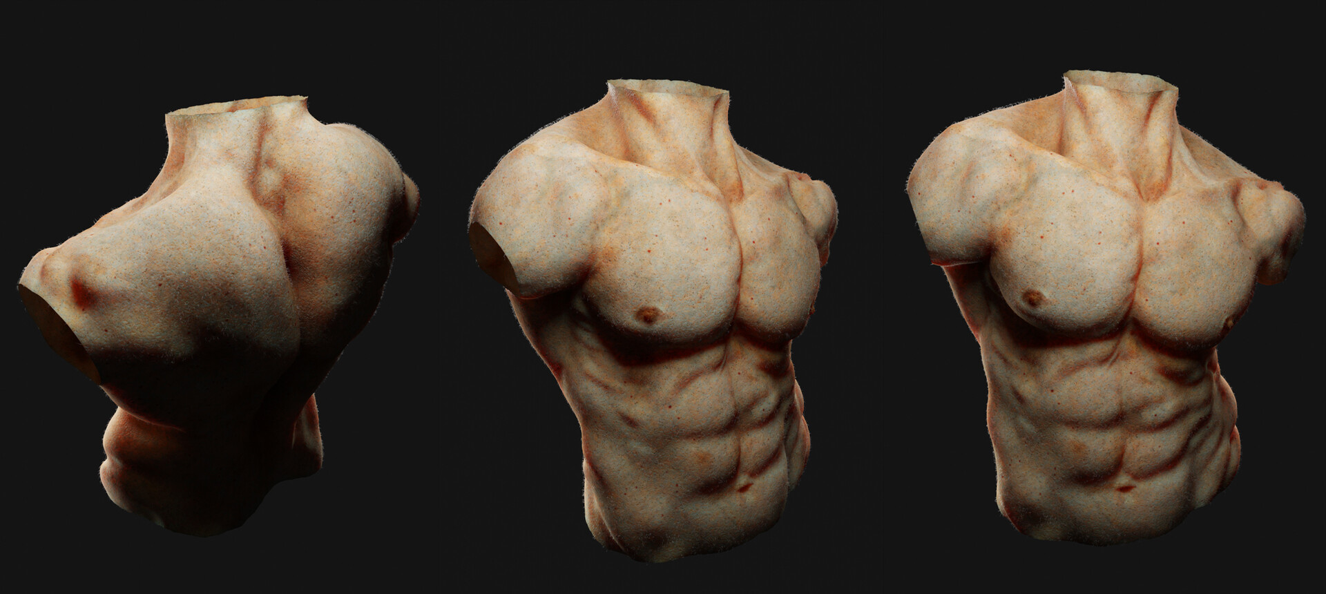 ArtStation - Torso Study