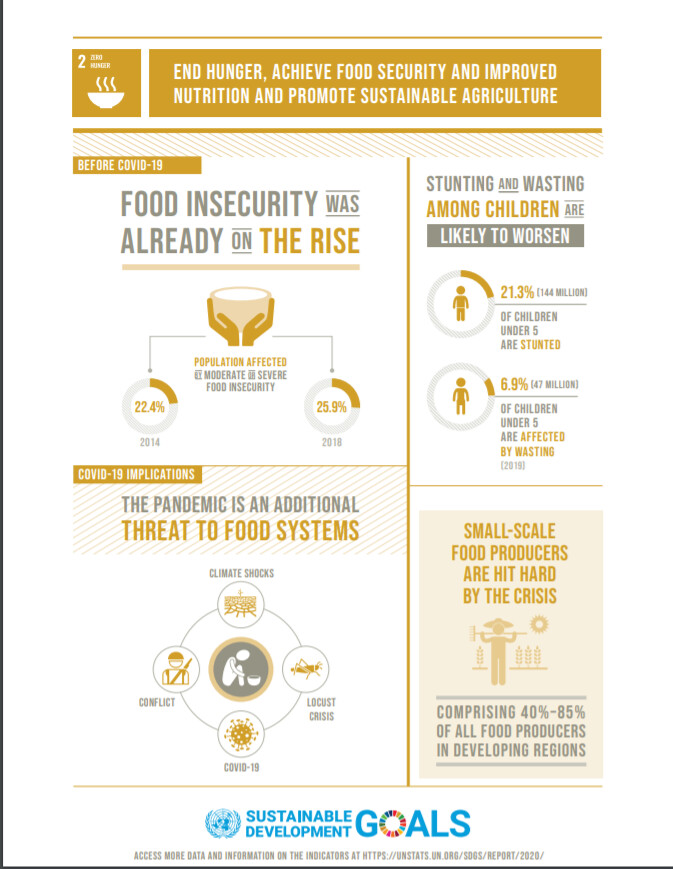 ArtStation - United Nations Food Insecurity Poster - Beginning of Research