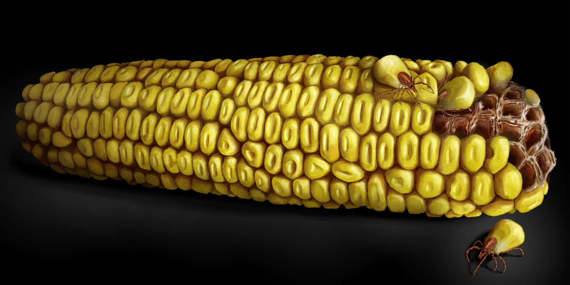 ArtStation - Tick-corn