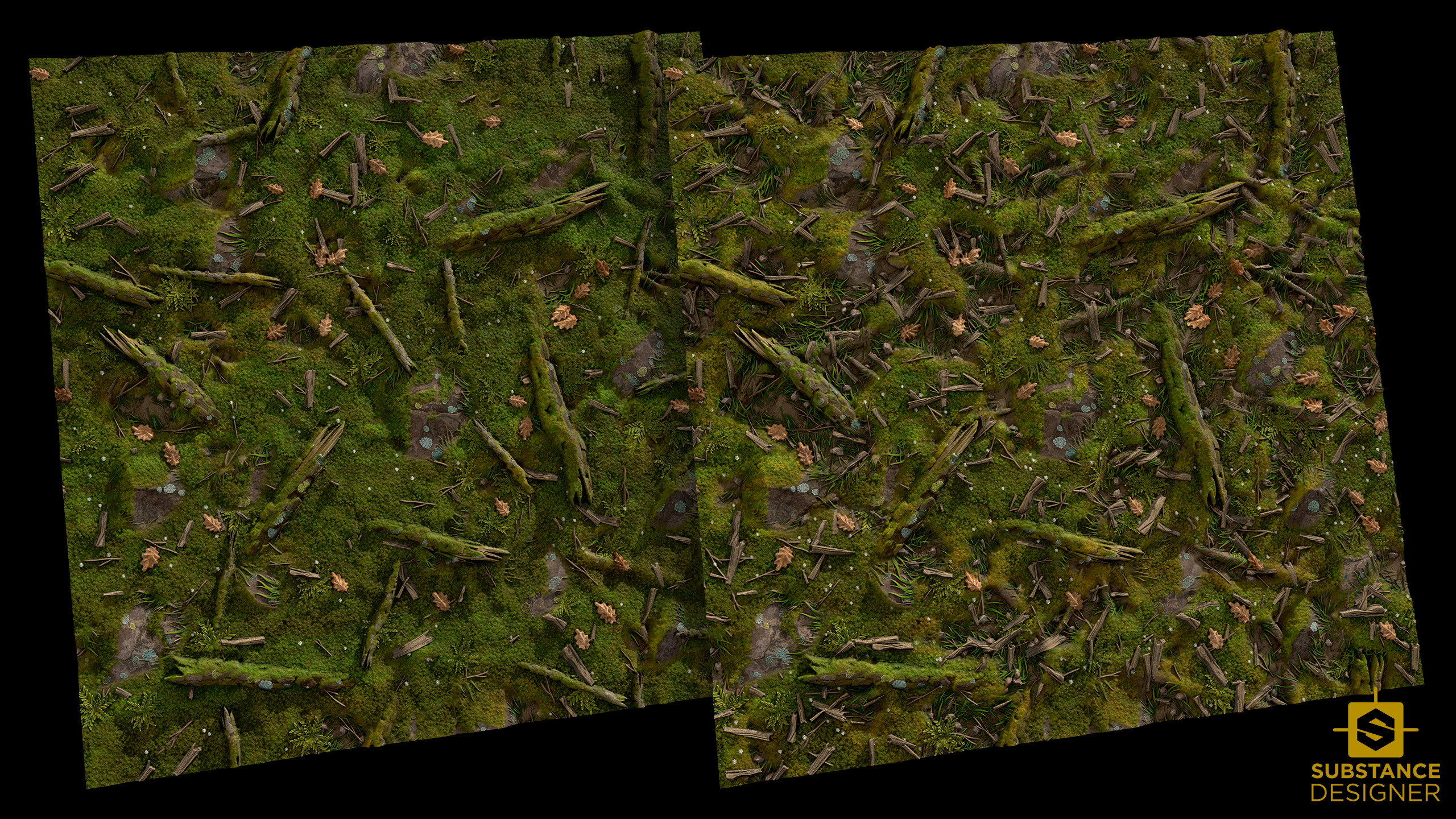 aleksandr-protasov-forest-floor02.jpg (2560×1440)