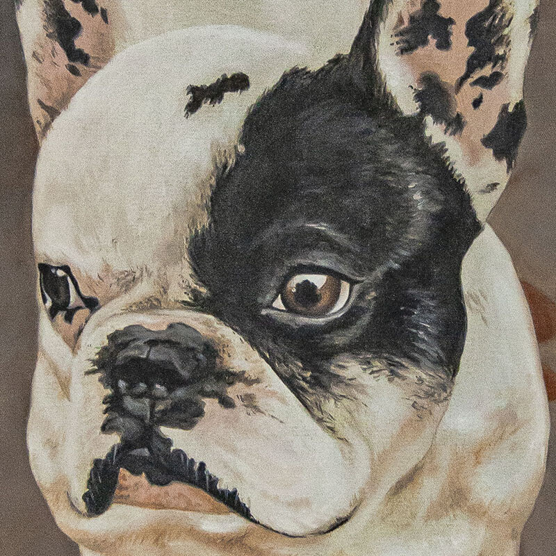 ArtStation - Frenchie