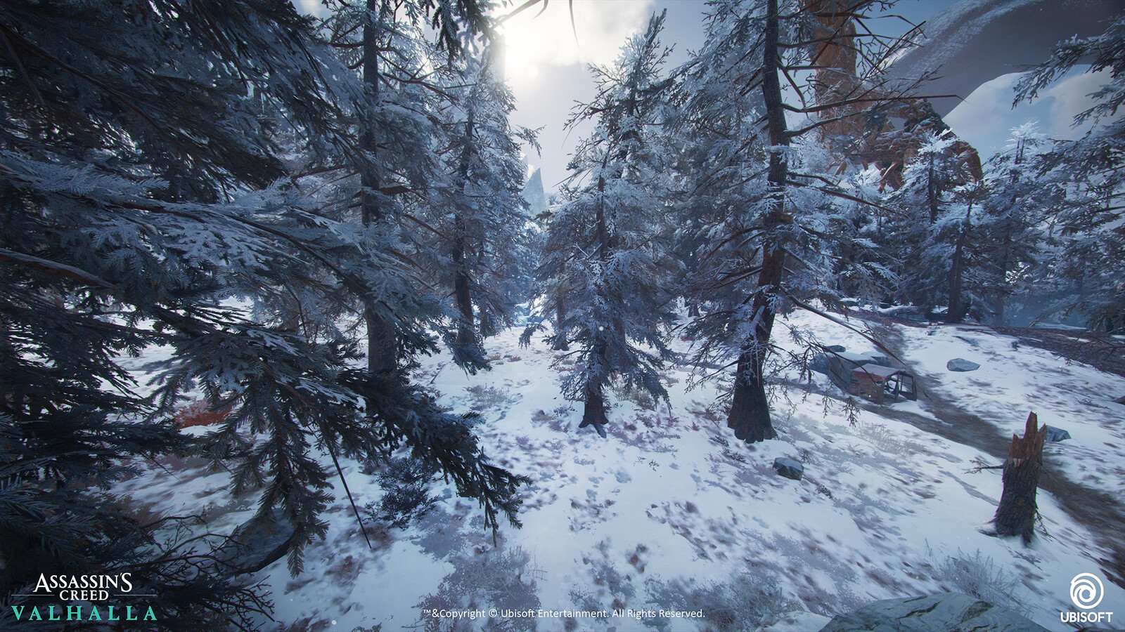Samuil Munis - Assassin's Creed Valhalla - Iron Forest Trees
