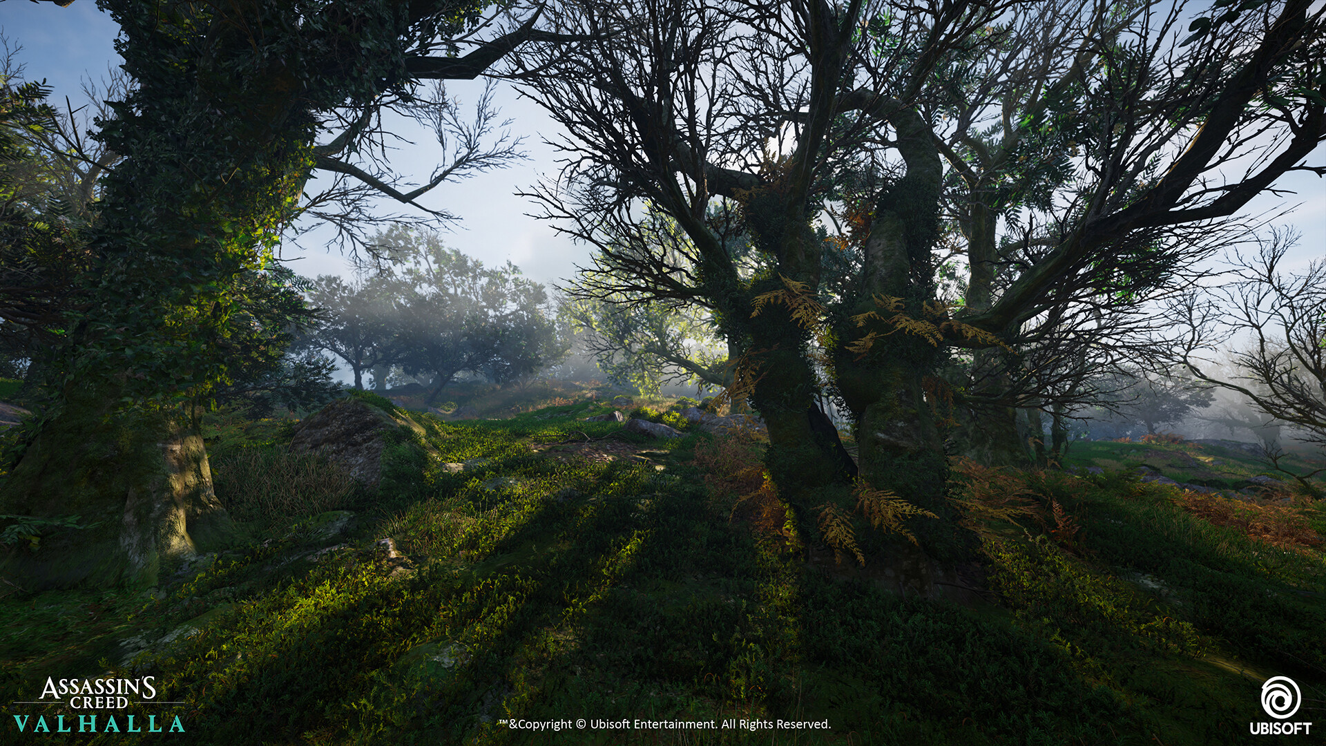 Samuil Munis - Assassin's Creed Valhalla - Wistman's Forest Models