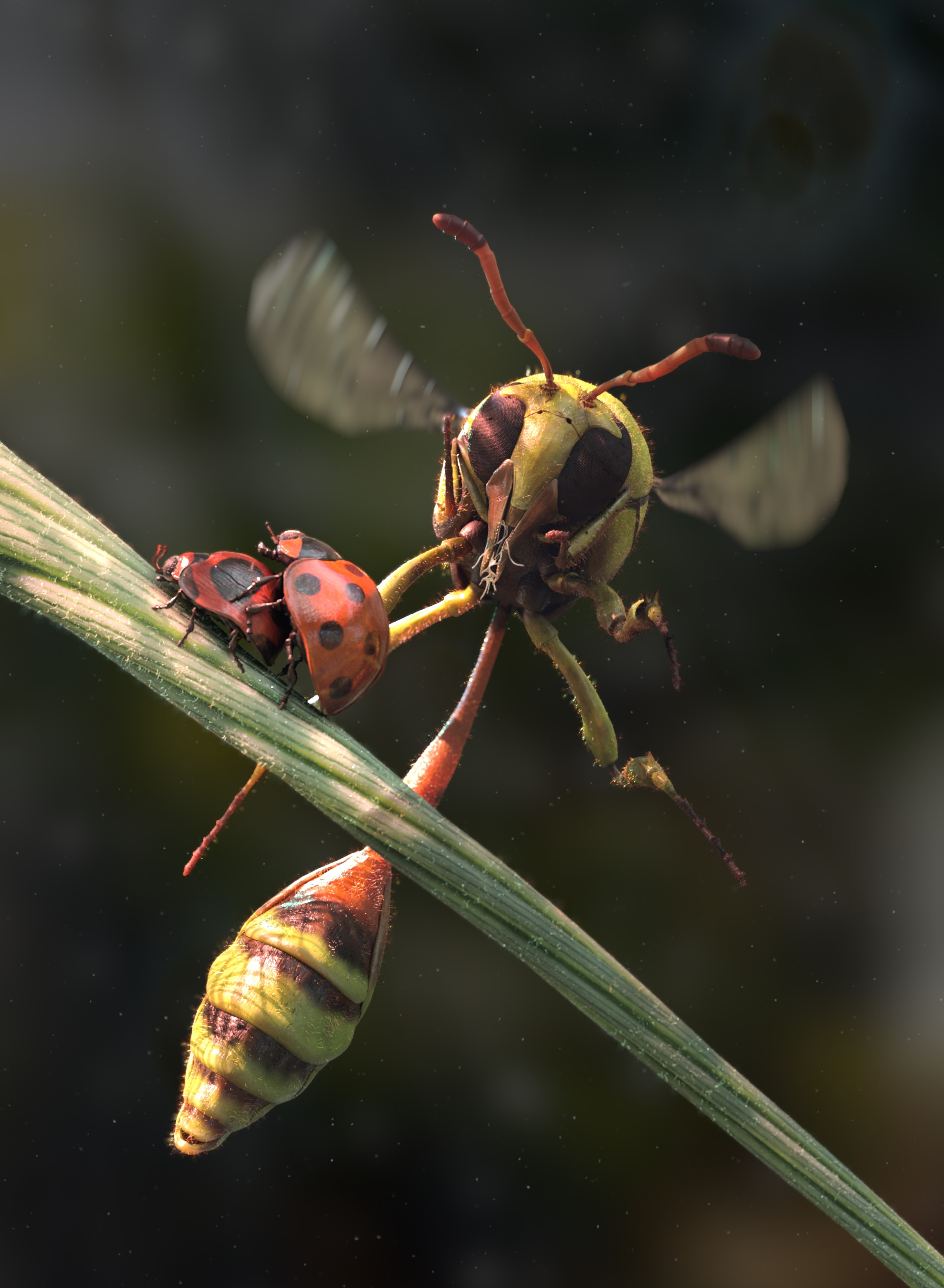 sergio-angel-wasp-a.jpg (2200×3000)图片_CG-生物图片素材-花瓣网