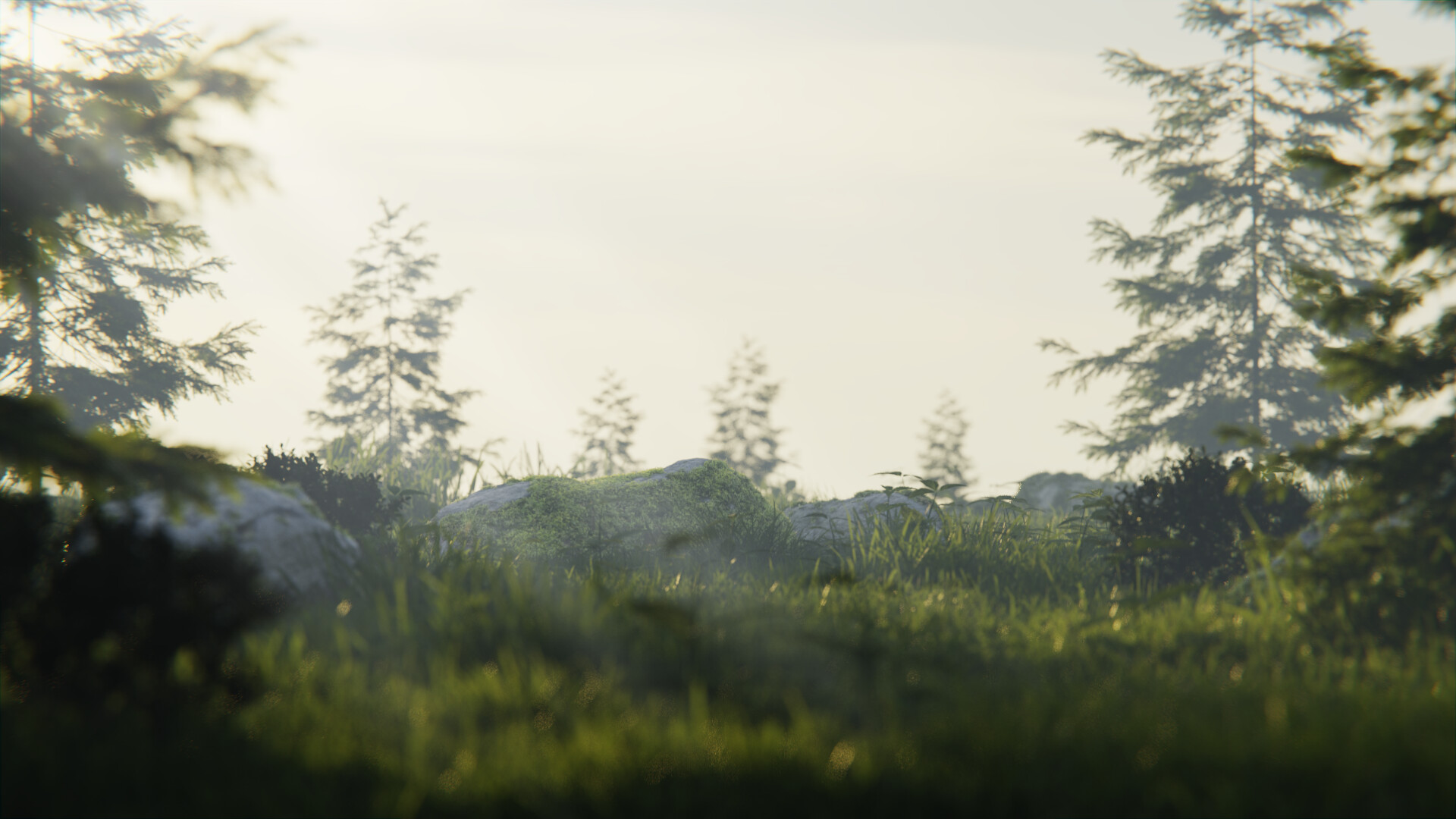 ArtStation - NATURE : A serene forest | Early morning scenes
