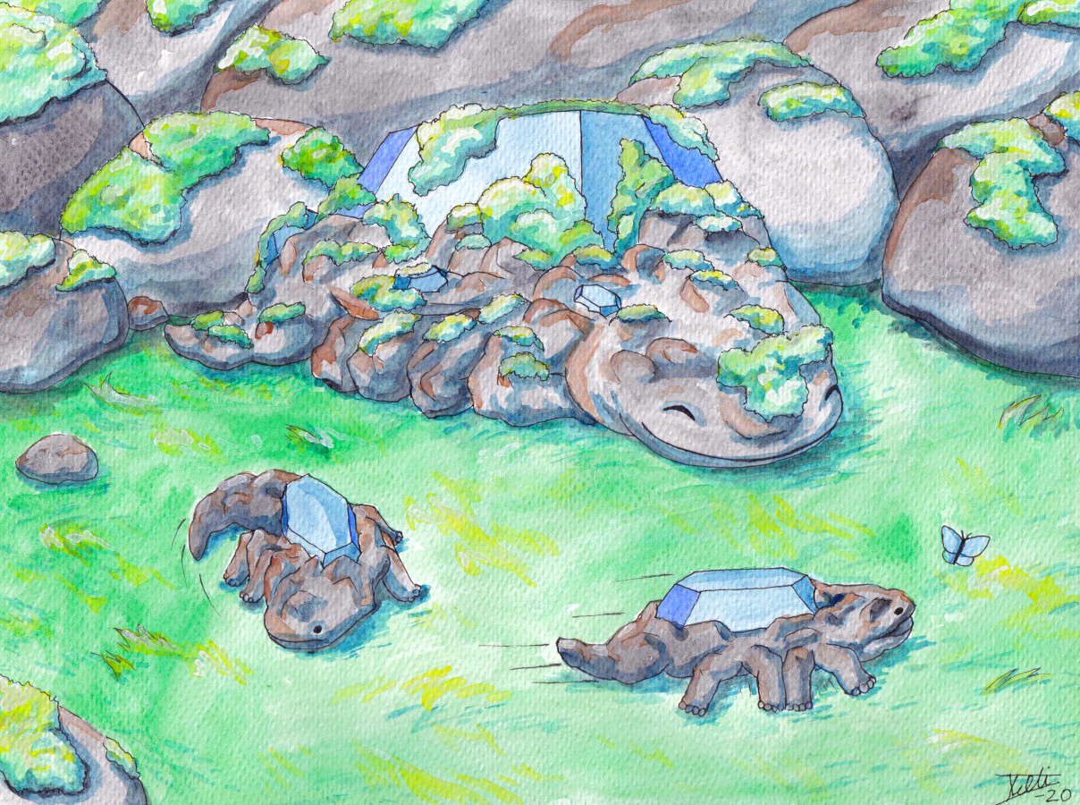 Heli - Crystal lizard family