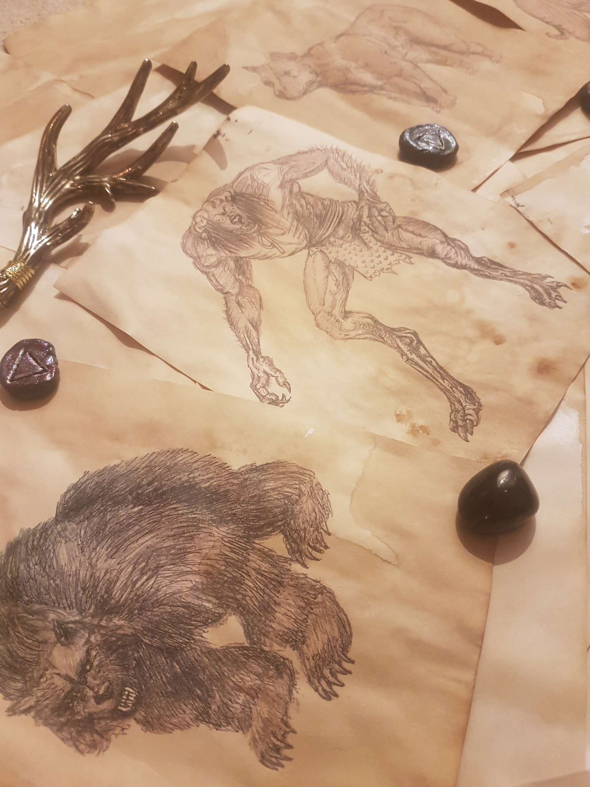 zoe williams - The witcher bestiary illustrations part 1