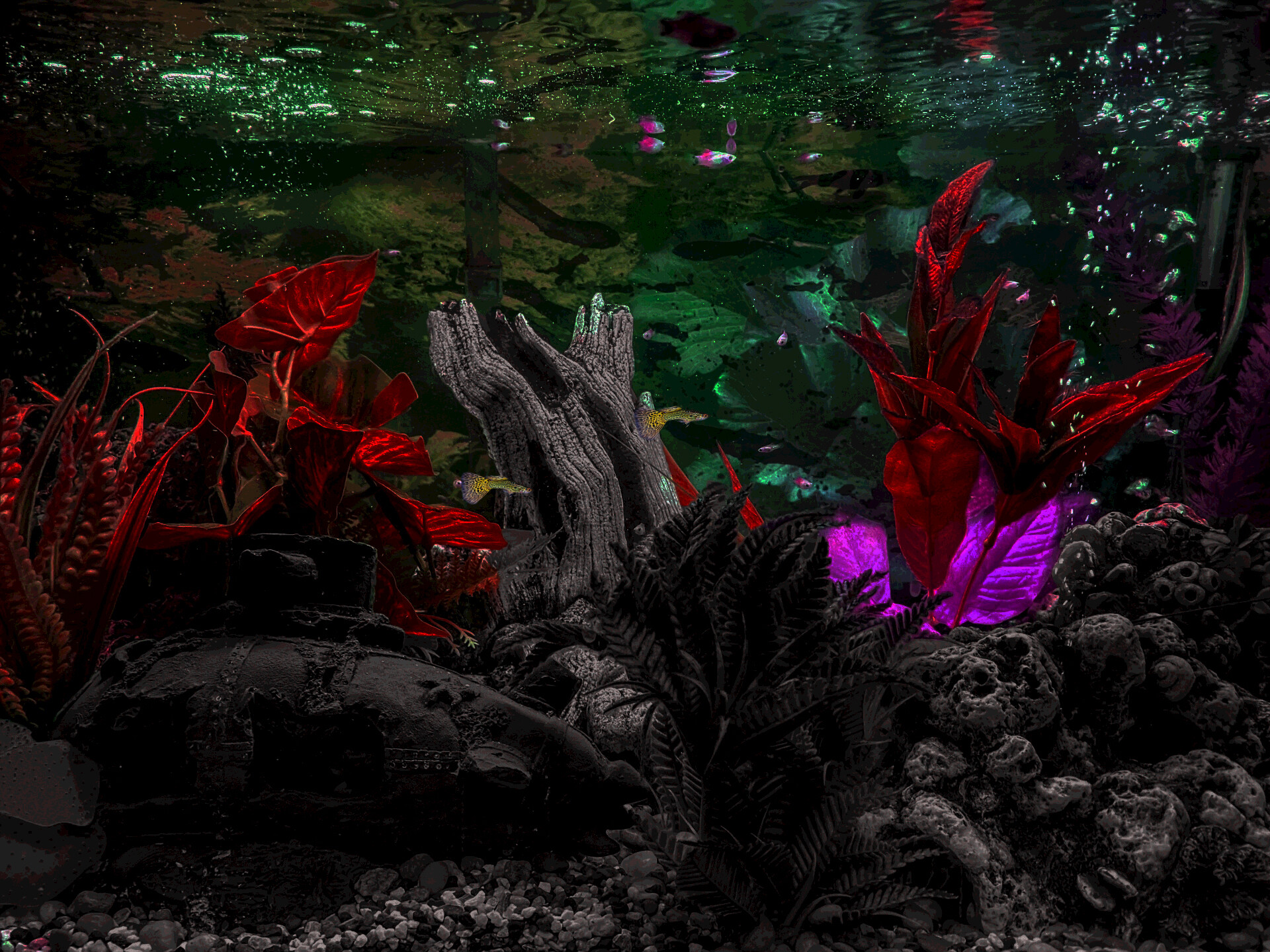 ArtStation - fish tank