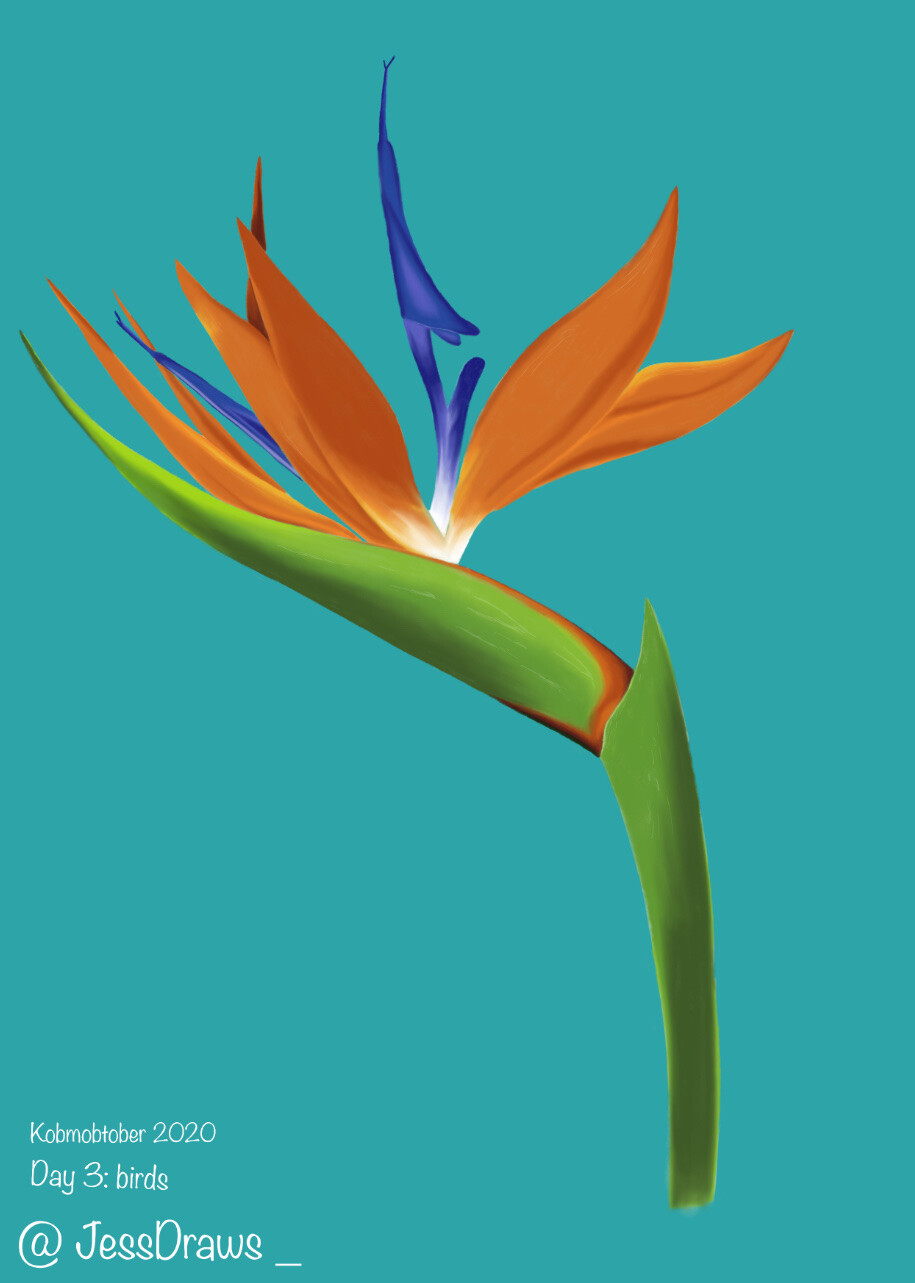 Jessica Dickerson - 2020 October Drawing Challenge