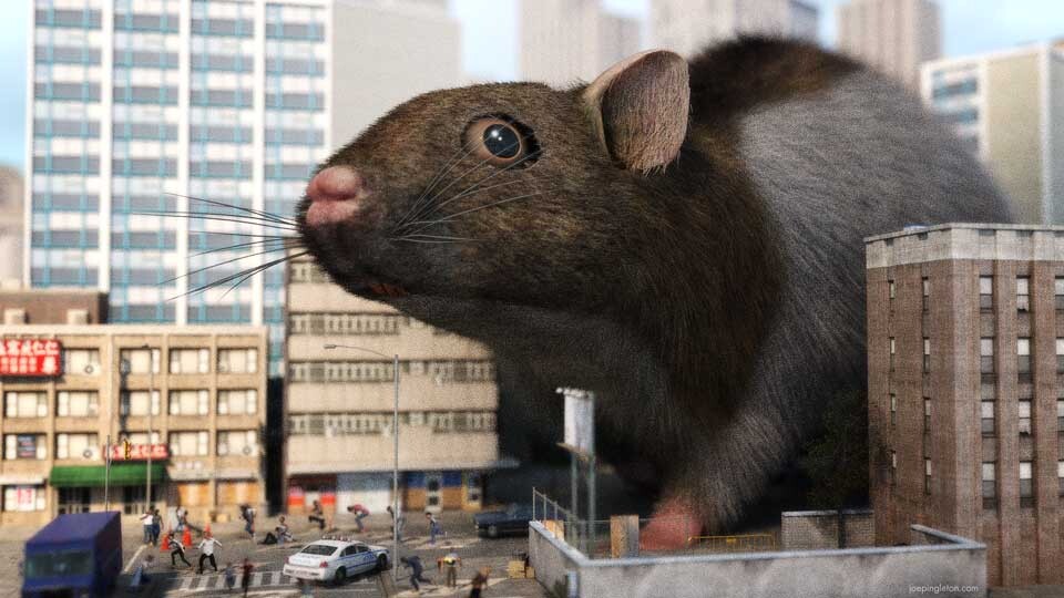 Joe Pingleton - Hamster Attack