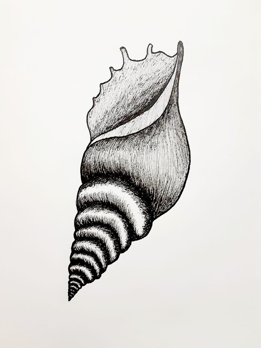 ArtStation - "A spiral seashell"