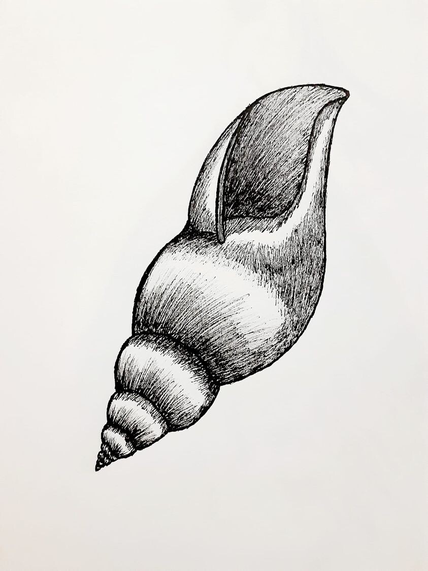 ArtStation - "A Seashell"