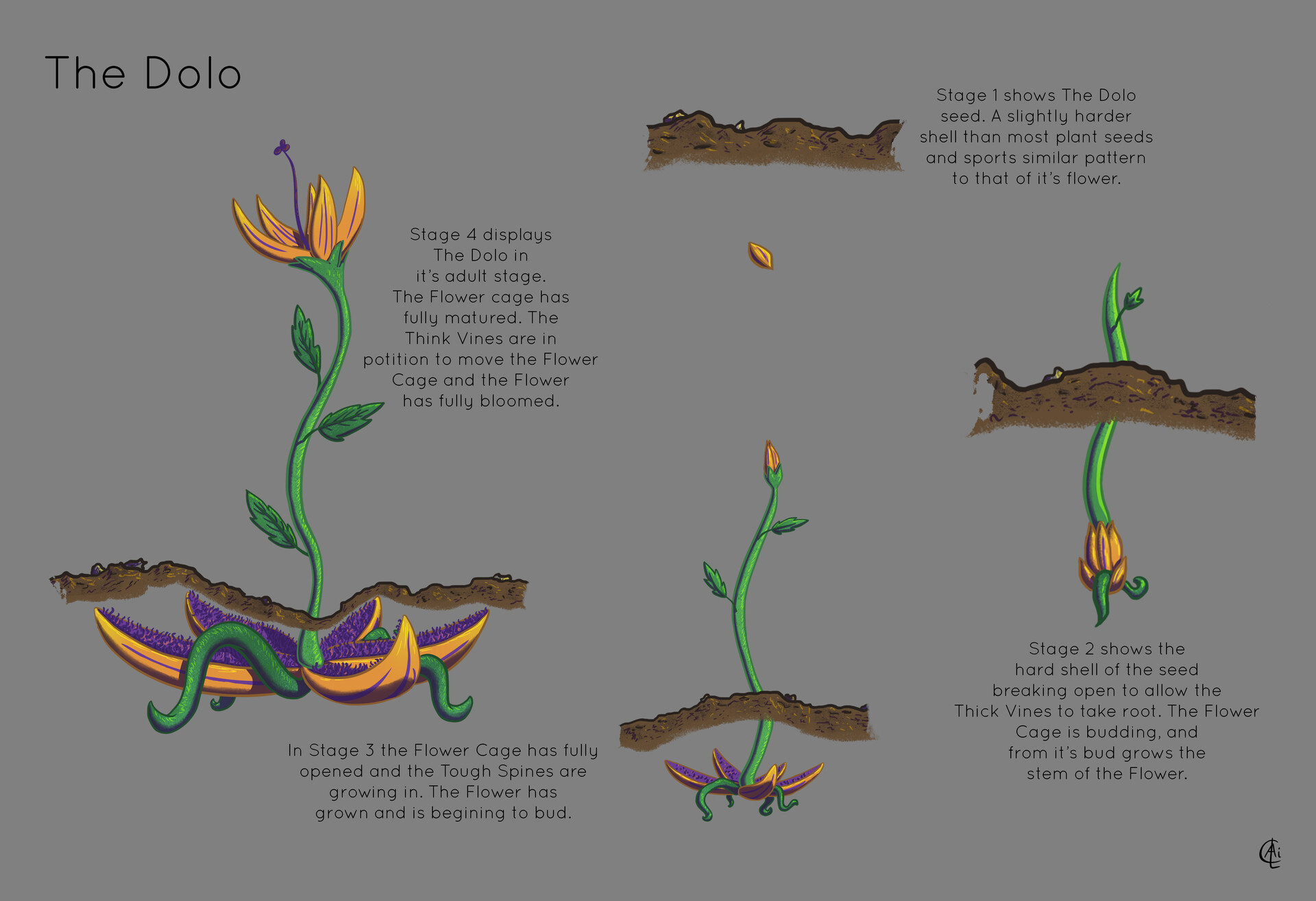 ArtStation - The Dolo-Flora Conept